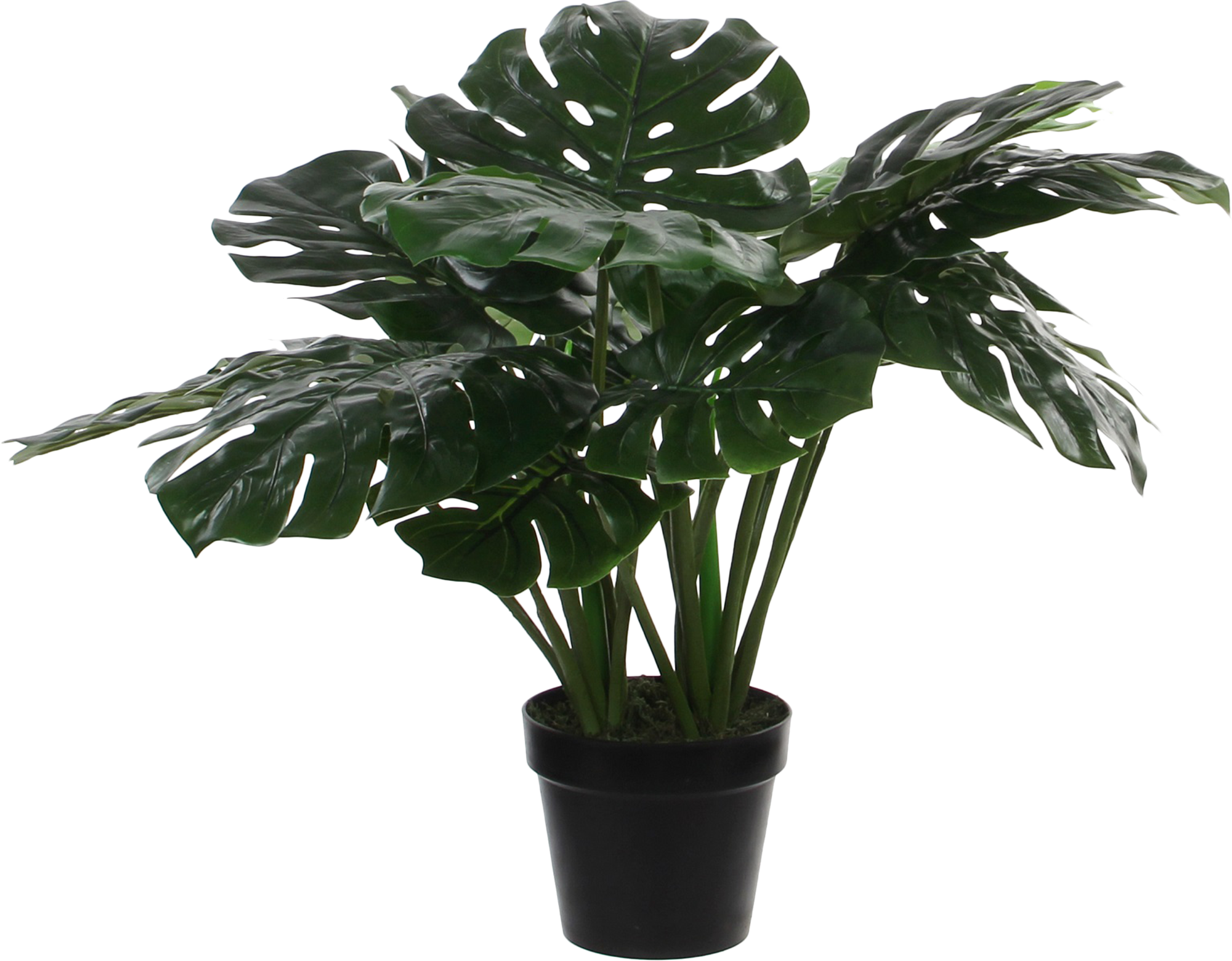 Planta artificial Monstera 60 cm de altura | Leroy Merlin