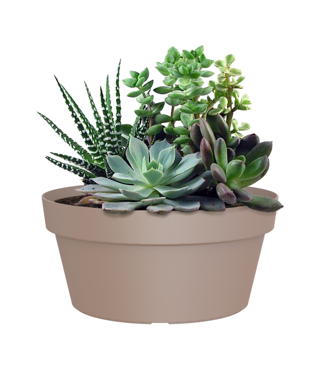 Macetas de flores color topo: compra online | Leroy Merlin