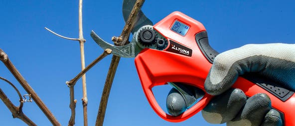 Aprende a podar tus setos | Leroy Merlin