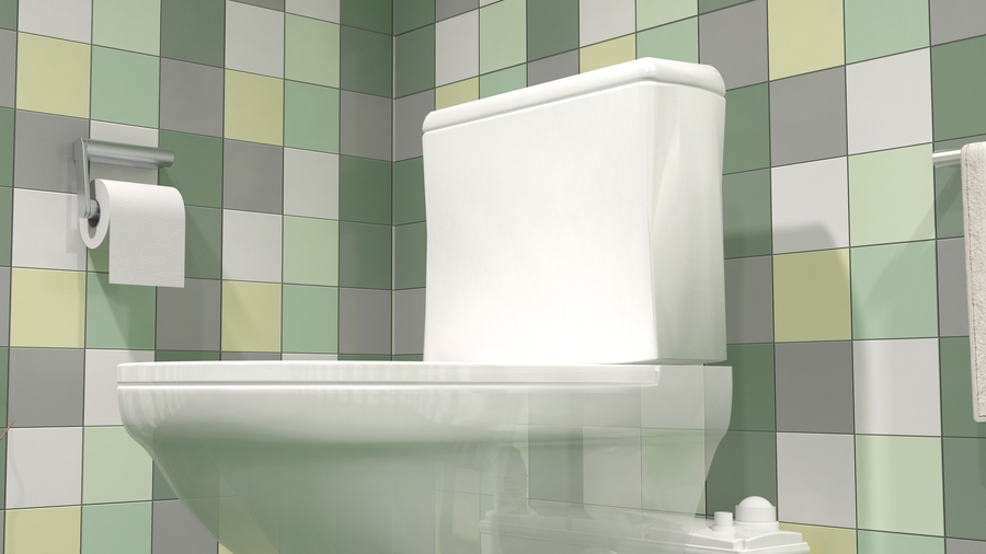 Inodoro seco ecológico, lo que tienes que saber | Leroy Merlin