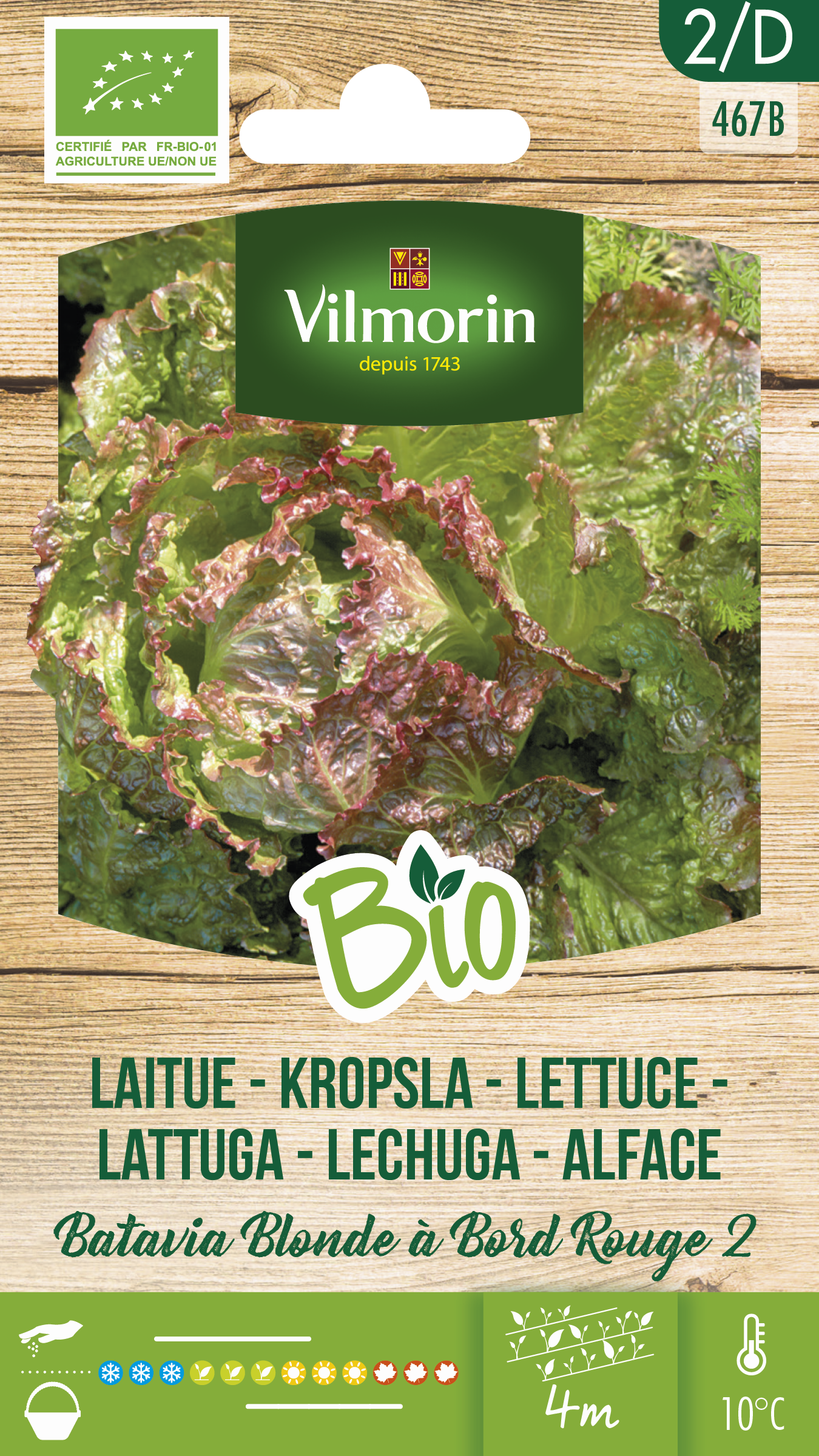 Semilla Lechuga batavia rubia VILMORIN BIO | Leroy Merlin