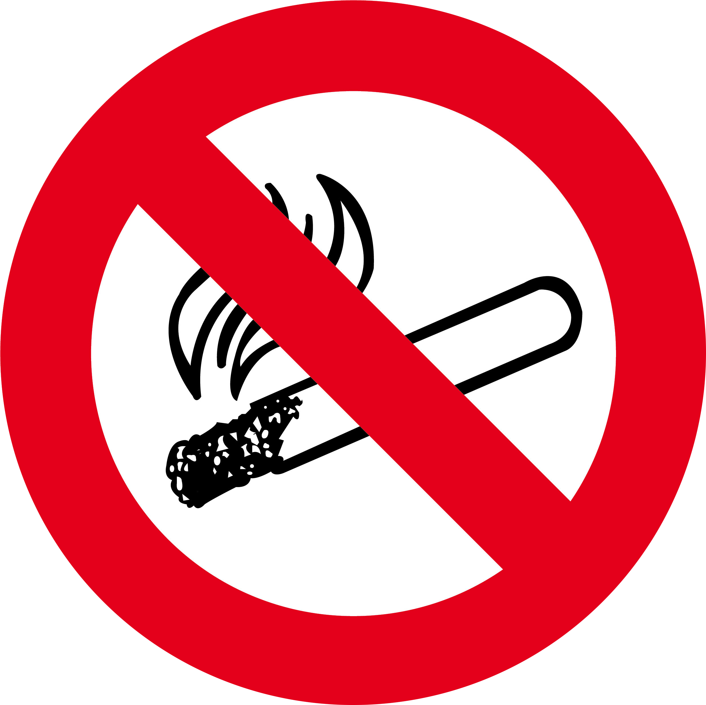 Cartel Prohibido Fumar 17X15Cm | Leroy Merlin