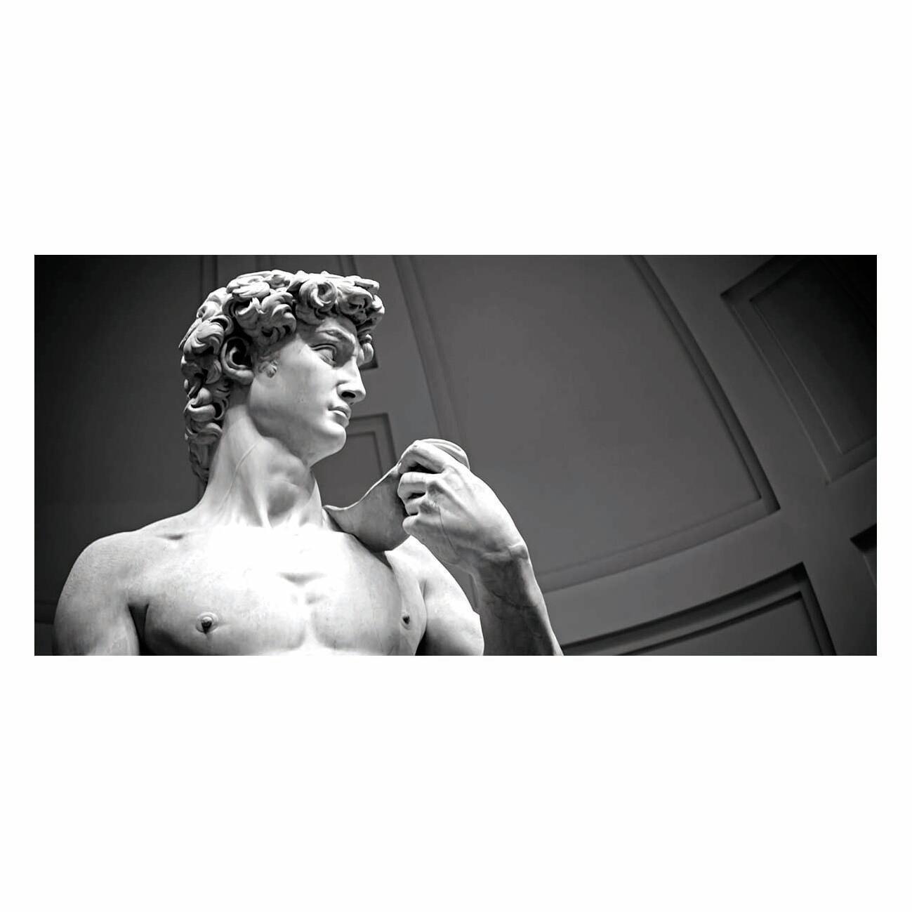 Fotomurale Firenze David, multicolor 210X100 cm | Leroy Merlin