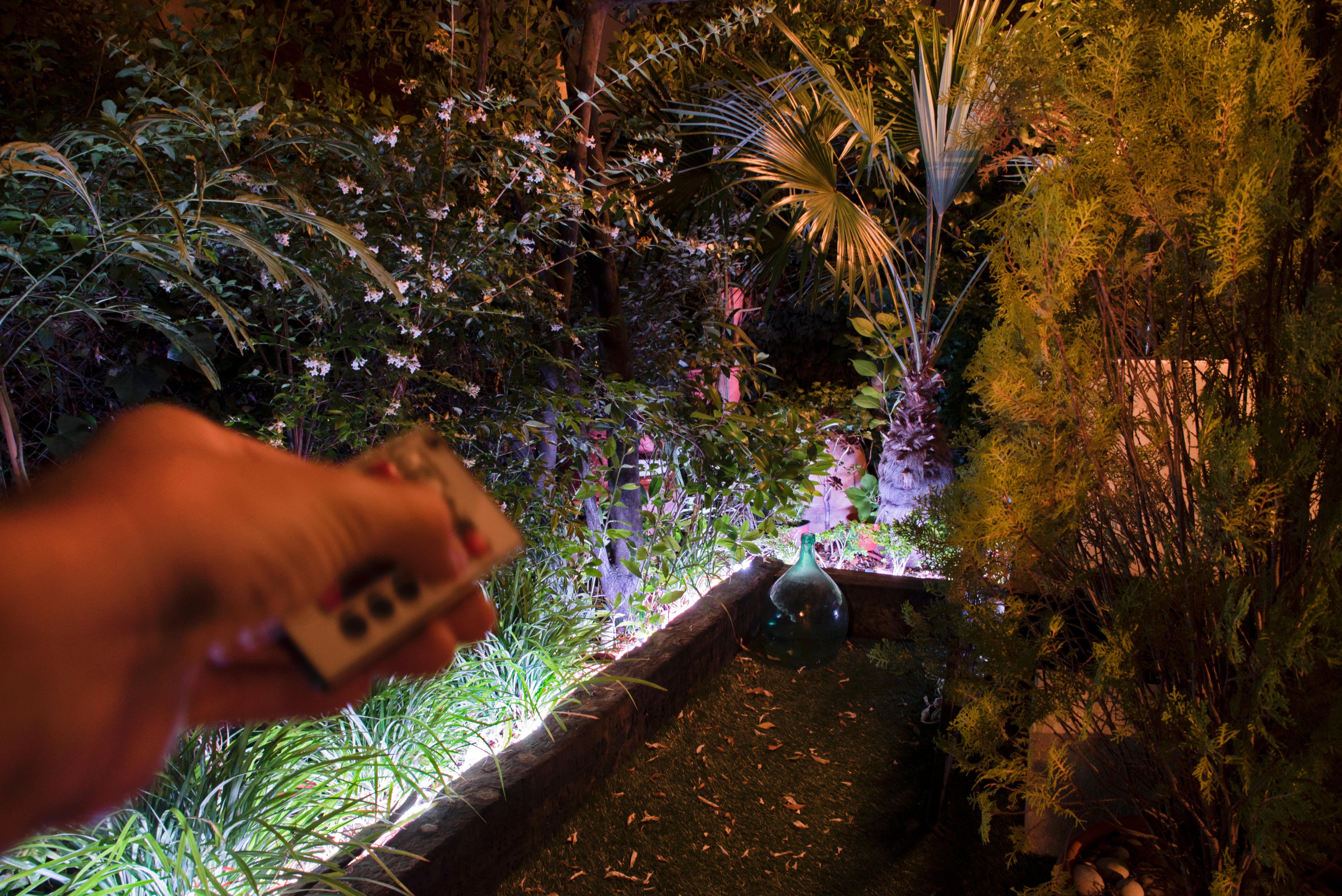 Cómo colocar iluminación LED en el jardín | Leroy Merlin
