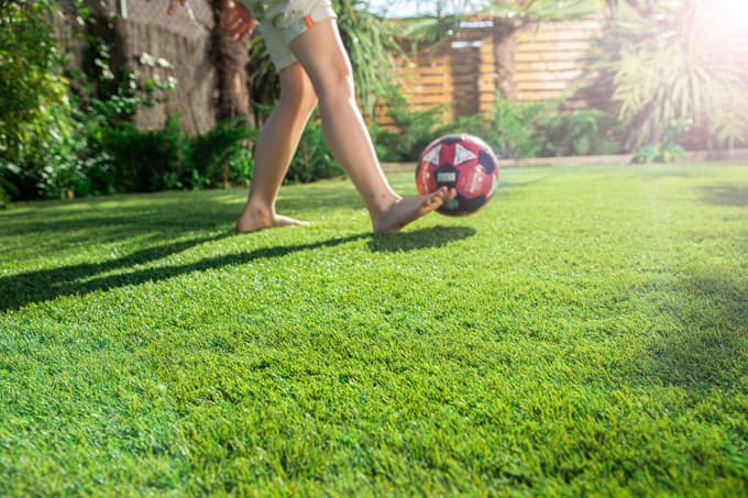 Roya: cómo prevenir y acabar con este hongo | Leroy Merlin