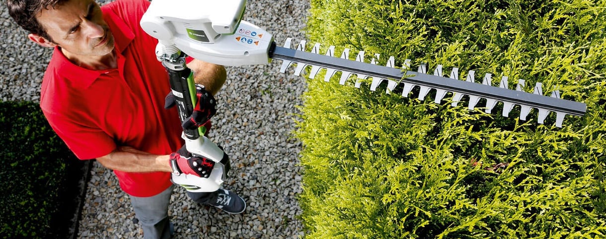 La poda de árboles, frutales, arbustos y plantas trepadoras | Leroy Merlin