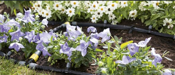 ¿Cómo instalar un riego por goteo? | Leroy Merlin