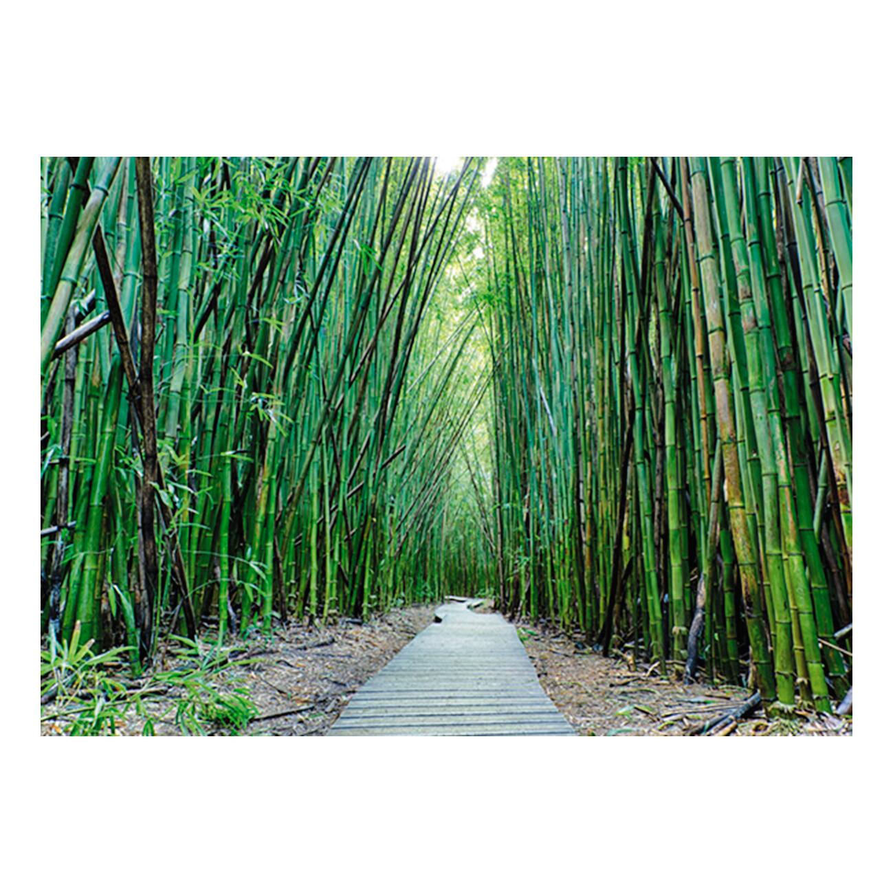 Stampa su tela Bamboo forest, multicolore 70 x 50 cm | Leroy Merlin