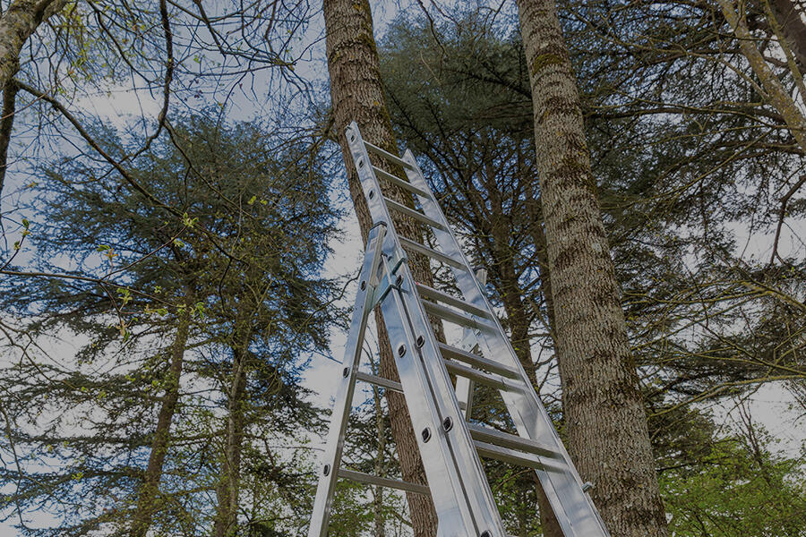 Come scegliere le scale | Leroy Merlin