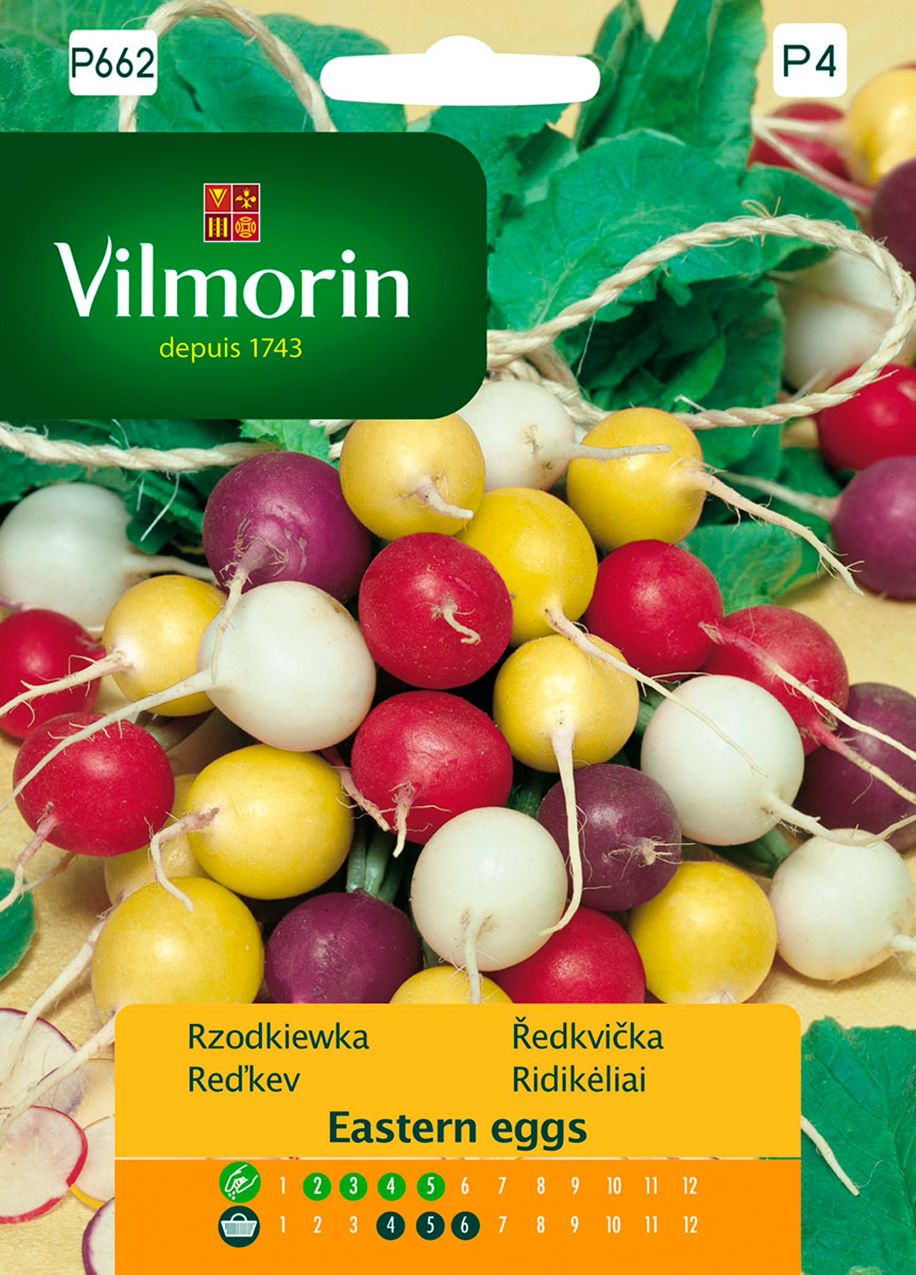 Rzodkiewka Eastern eggs nasiona 5g Vilmorin - Leroy Merlin