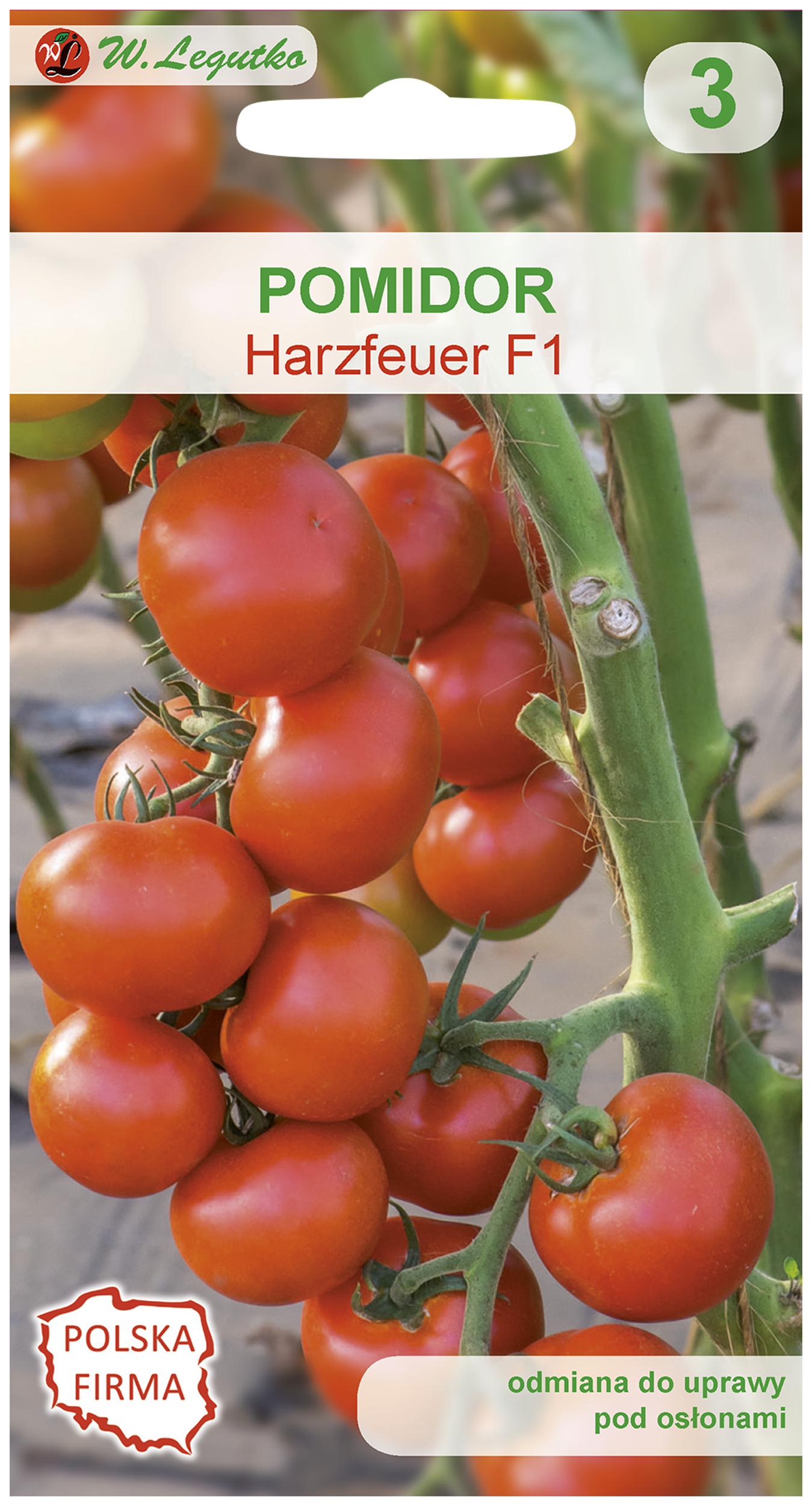 Pomidor pod osłony Harzfeuer F1 nasiona W. Legutko - Leroy Merlin