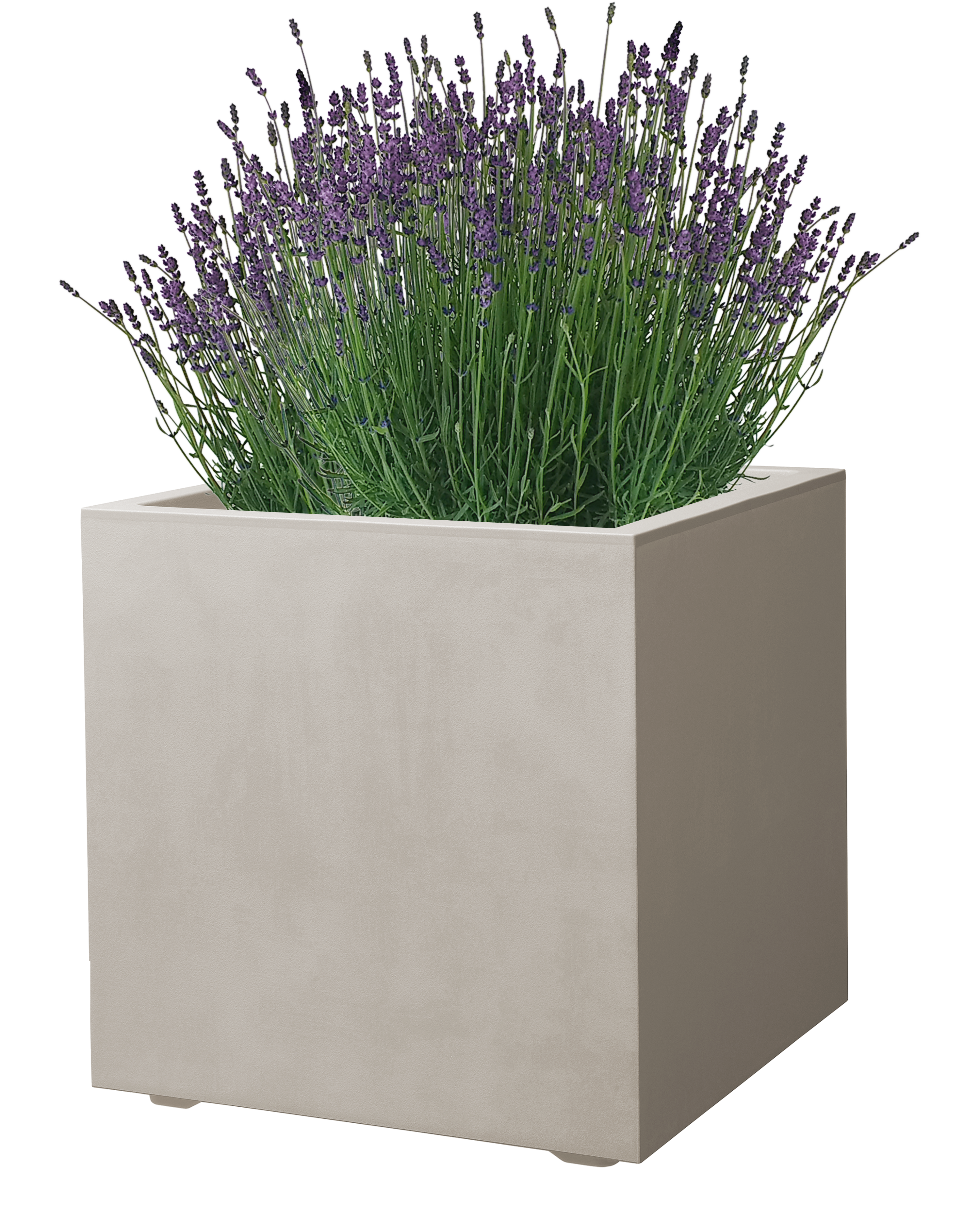 Maceta de polipropileno Millennium R Ra Perla blanco de 39x39x39.1cm ...