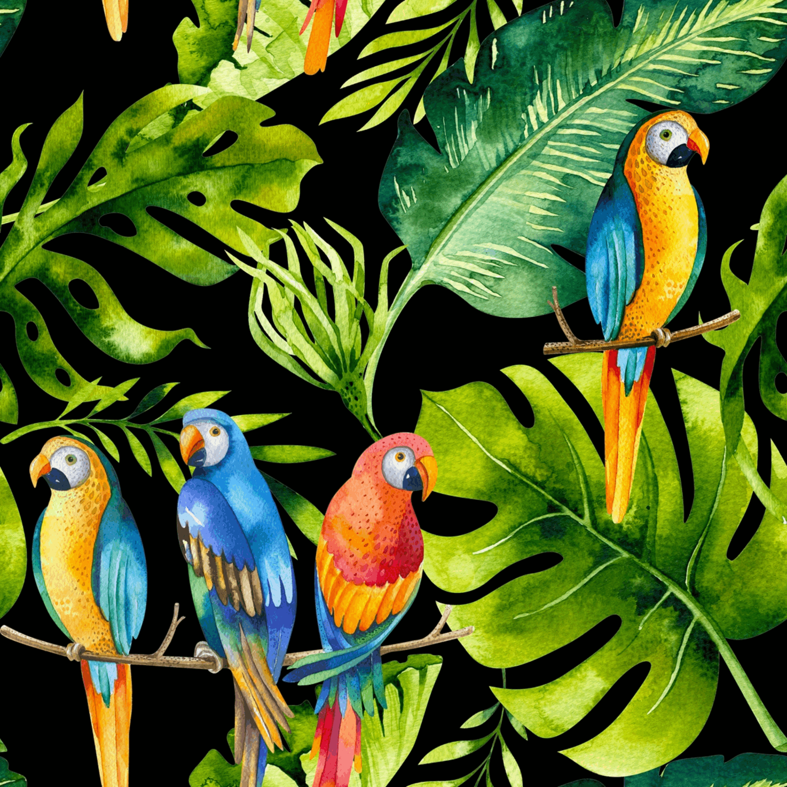 Panel kuchenny szklany Parrots black 60 x 60 cm Alfa-Cer - Leroy Merlin