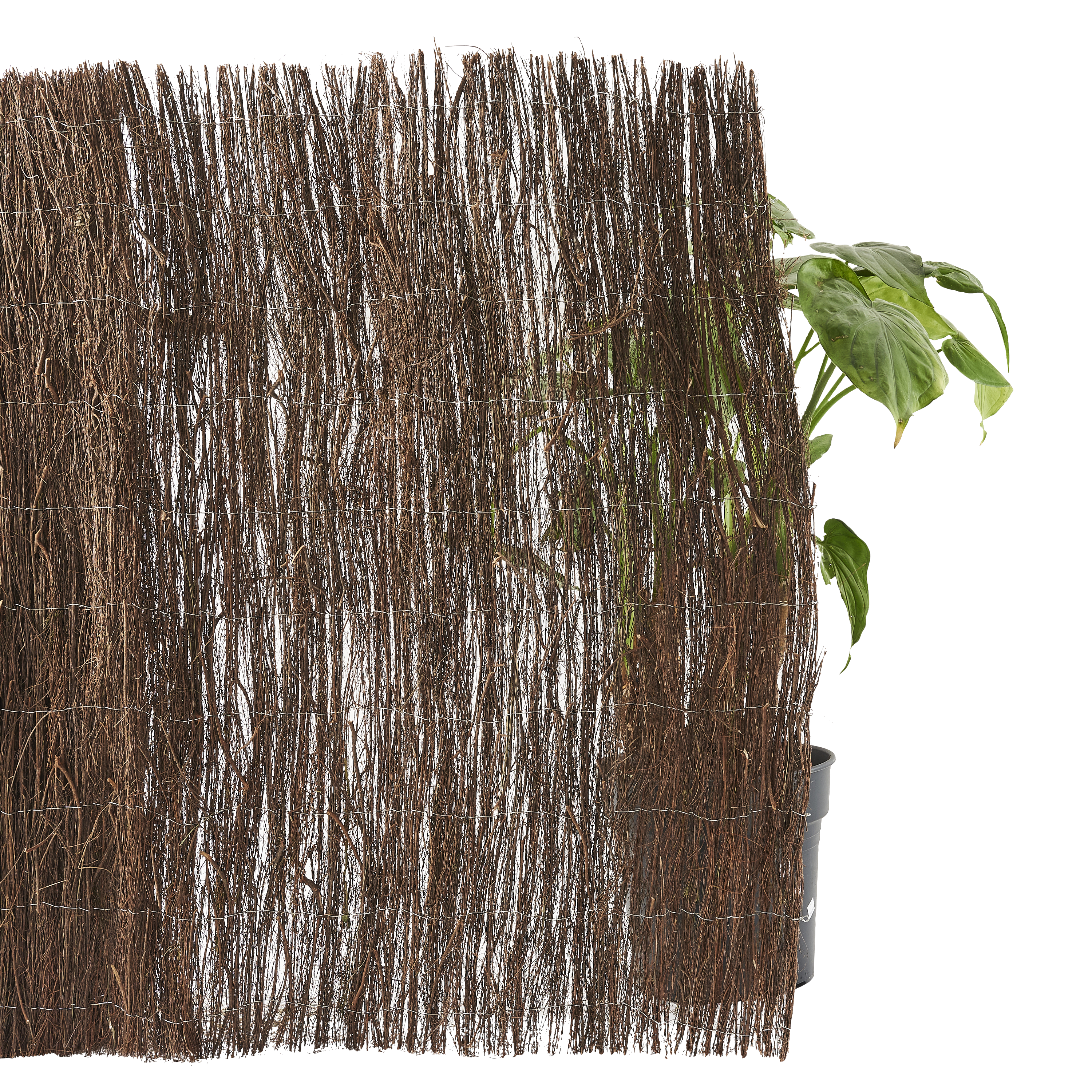 Brezo fino NATERIAL marrón 2 x 3 m | Leroy Merlin