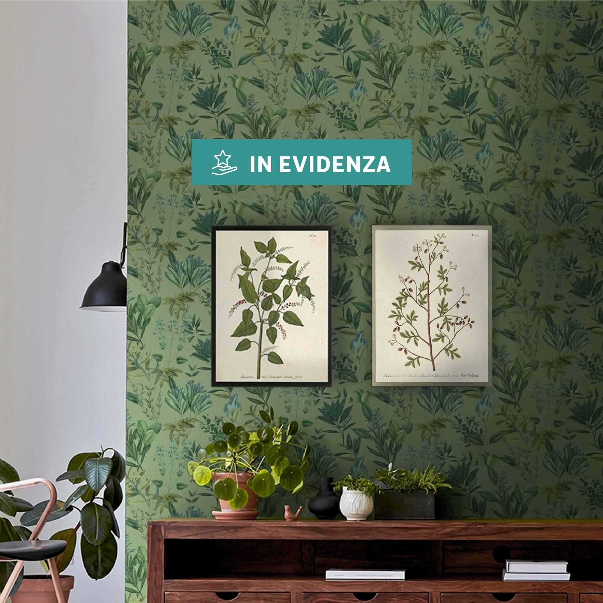 Erbario | Leroy Merlin