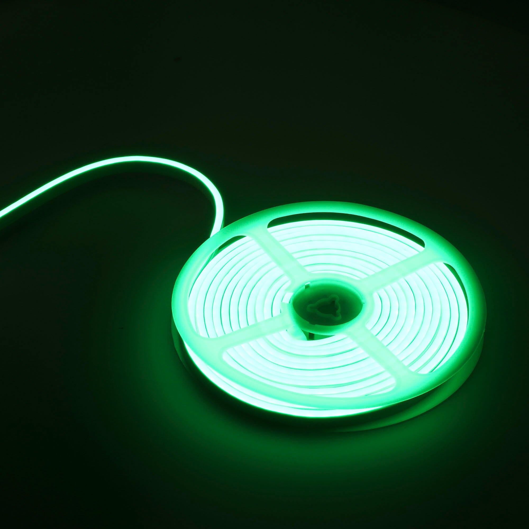 Tira LED Neon verde IP65 5m | Leroy Merlin