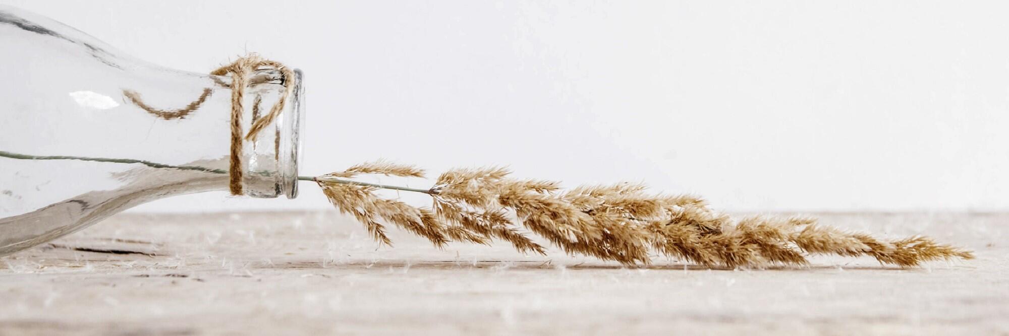 Cuadro canva rama seca 45 x 65 cm | Leroy Merlin