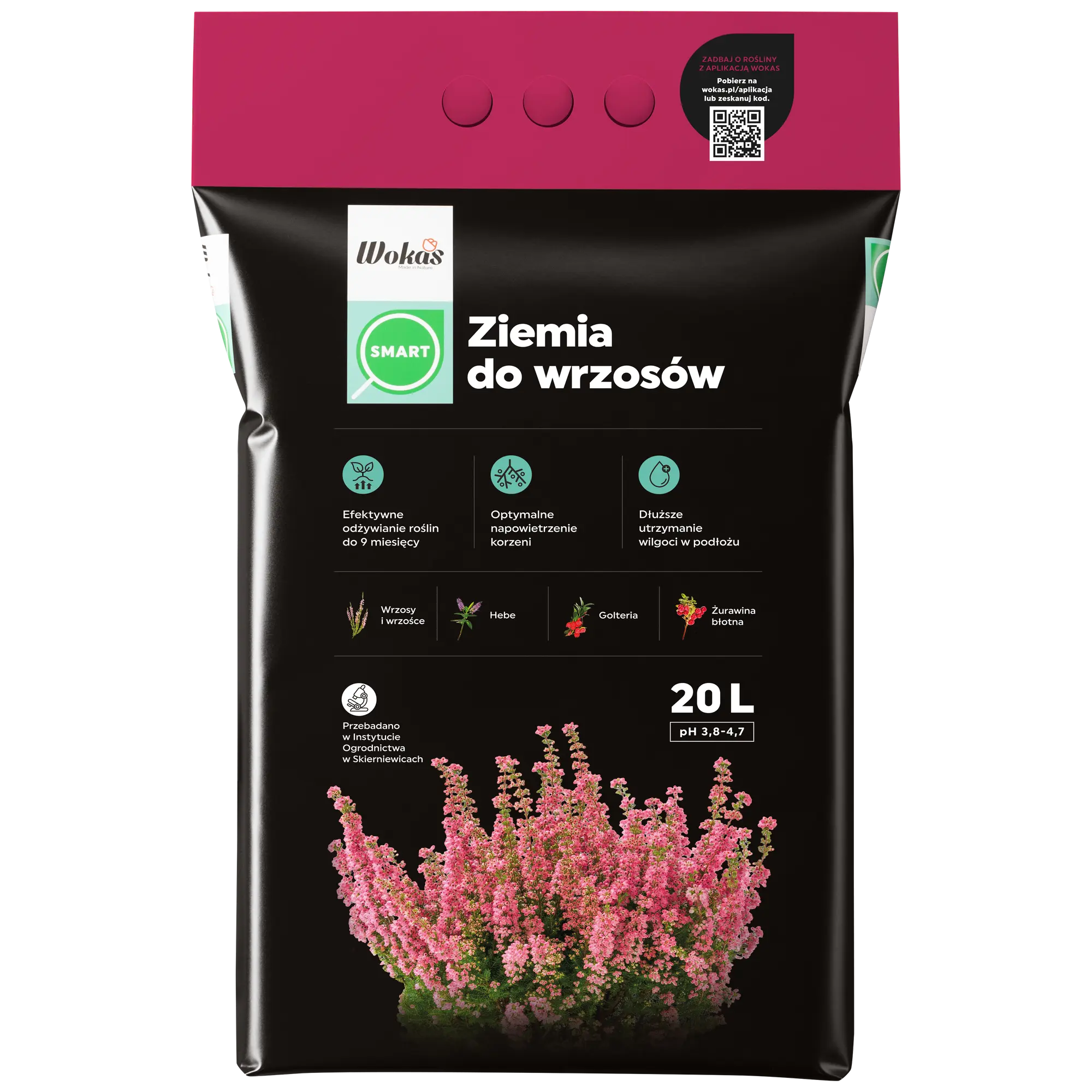 Ziemia do wrzosów Smart 20l Wokas - Leroy Merlin