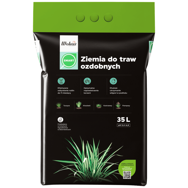 Trawy ozdobne wieloletnie | Leroy Merlin