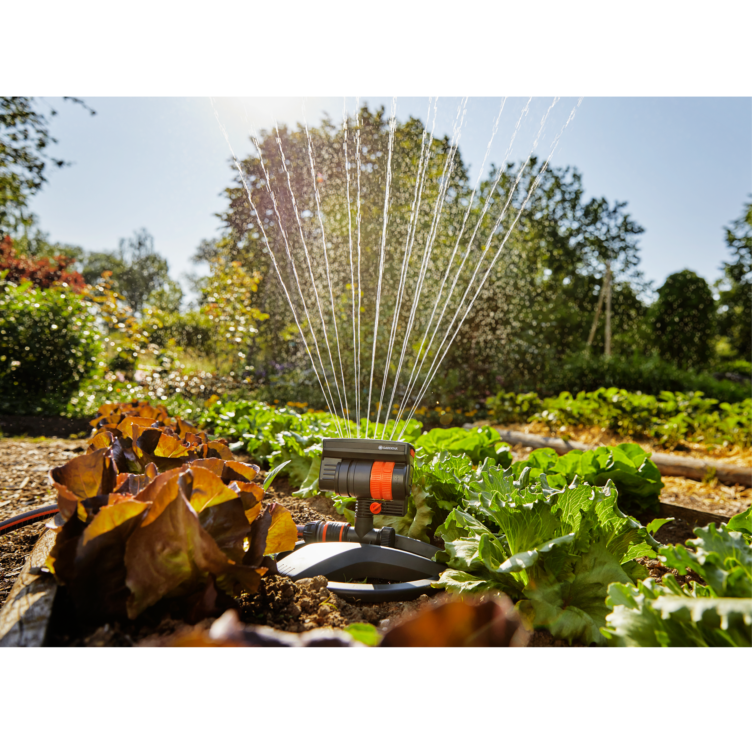 Aspersor oscilante GARDENA abs para 216 m2 | Leroy Merlin