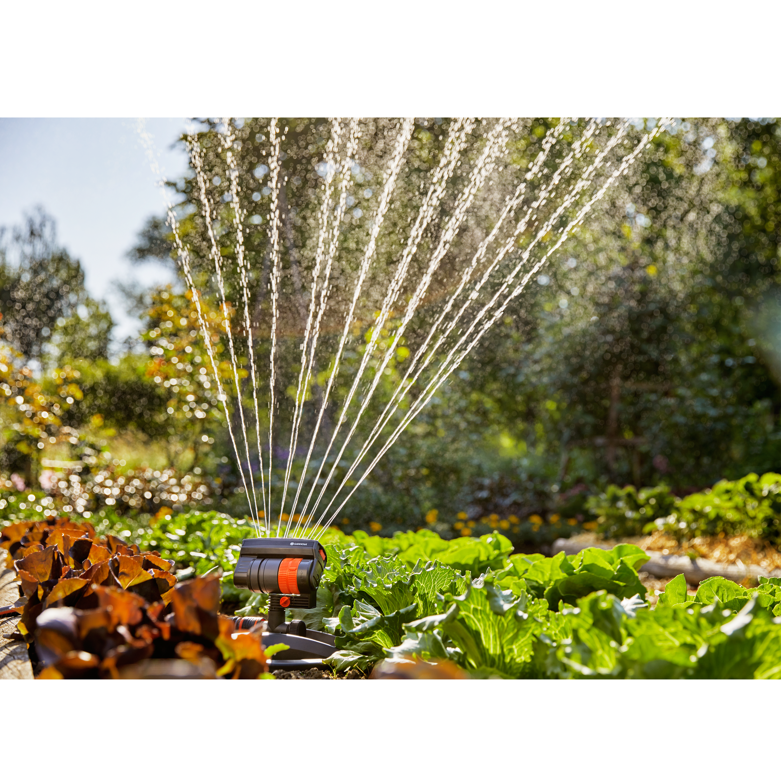 Aspersor oscilante GARDENA abs para 216 m2 | Leroy Merlin