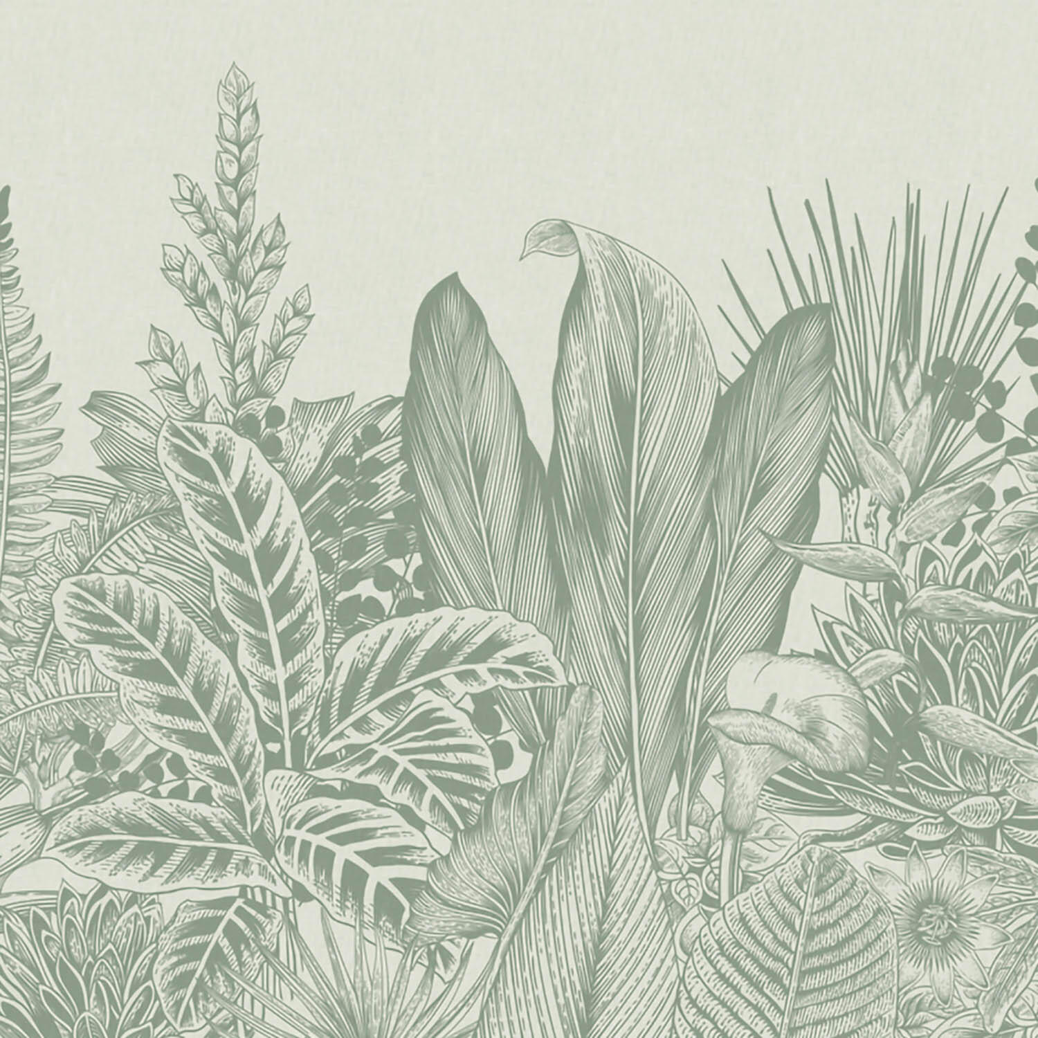 Papier peint panoramique Panorama frondo lisse vert intissé LUTECE l ...