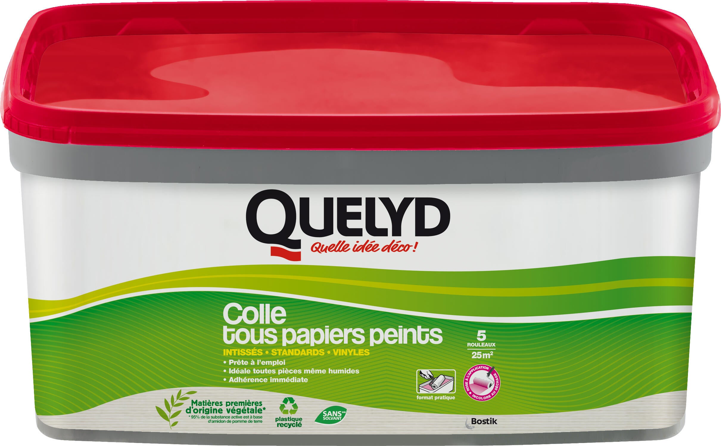 Colle en pâte pour papiers peints intissés QUELYD, 3kg | Leroy Merlin