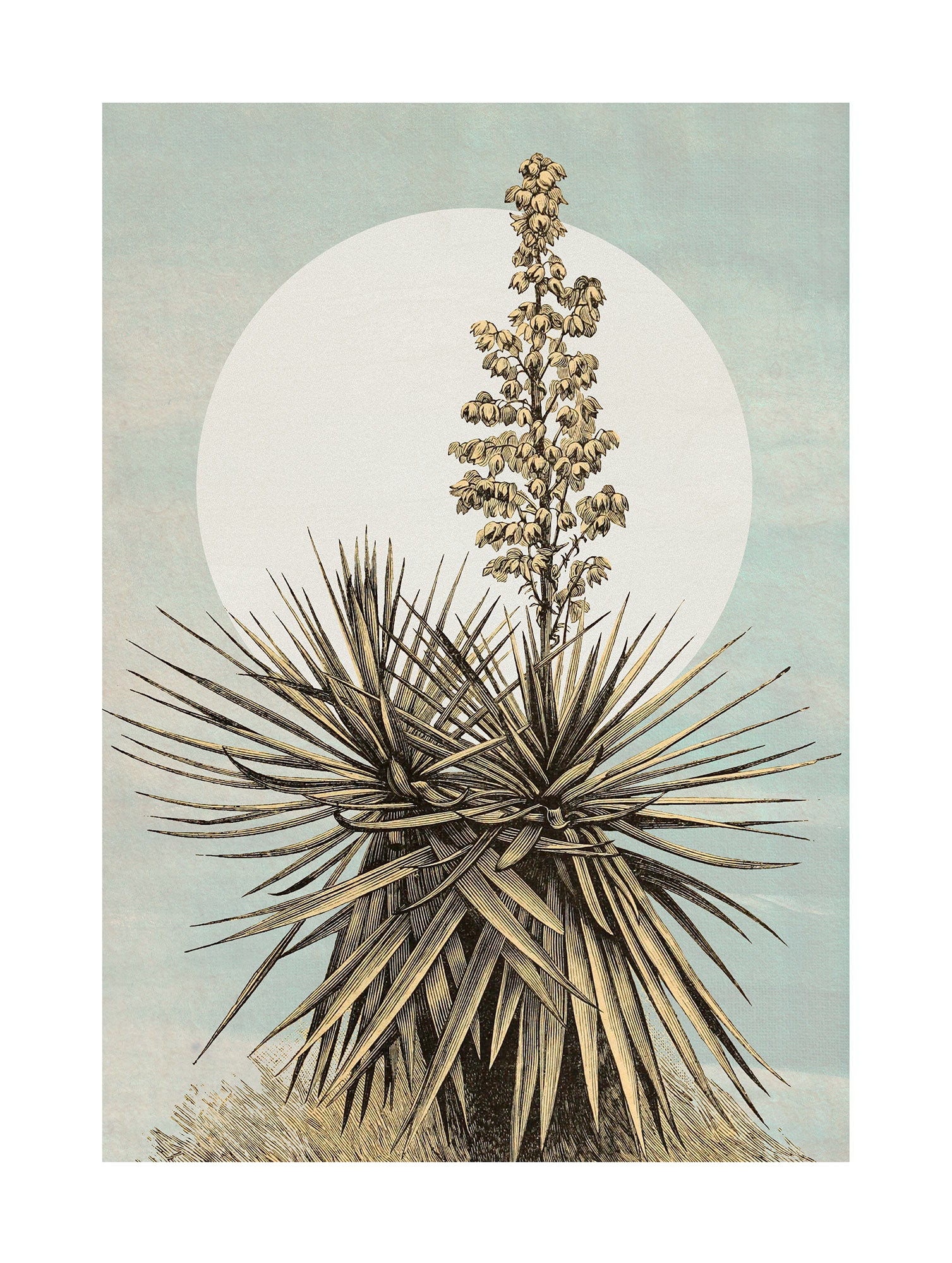 Affiche Feuillage, vert KOMAR l.30 x H.40 cm | Leroy Merlin