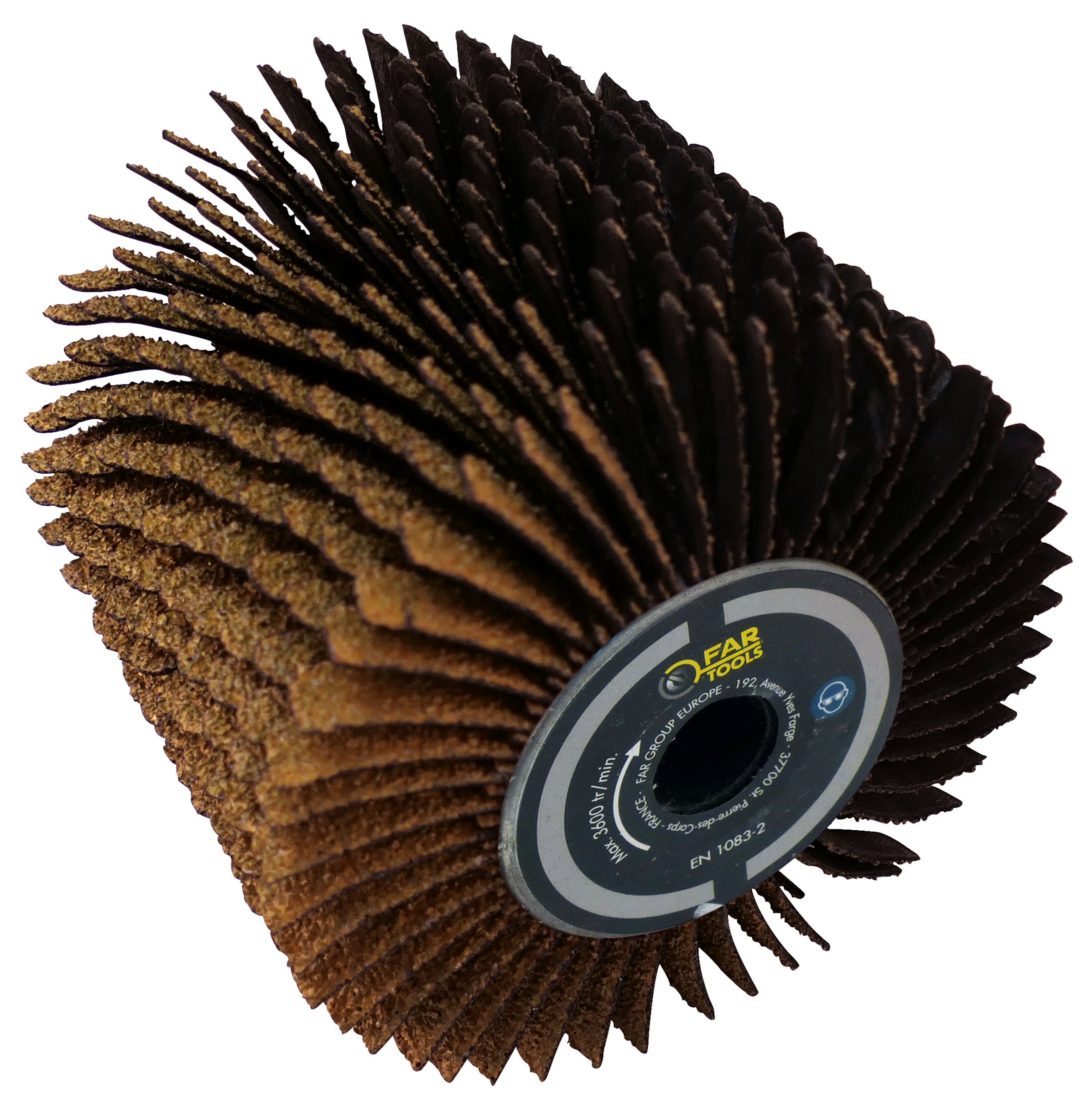 Brosse abrasive , FARTOOLS x L.100 mm | Leroy Merlin