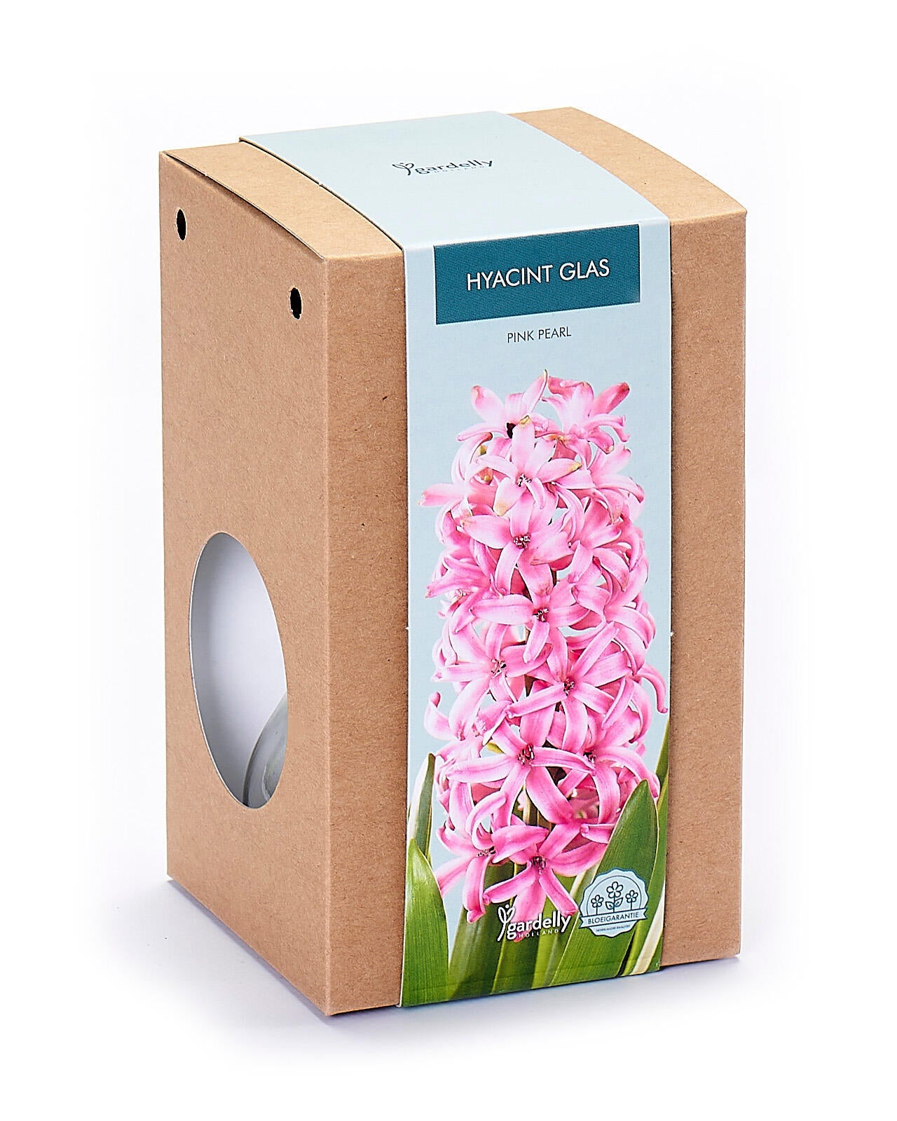 Bulbe florale bulbe à fleur | Leroy Merlin