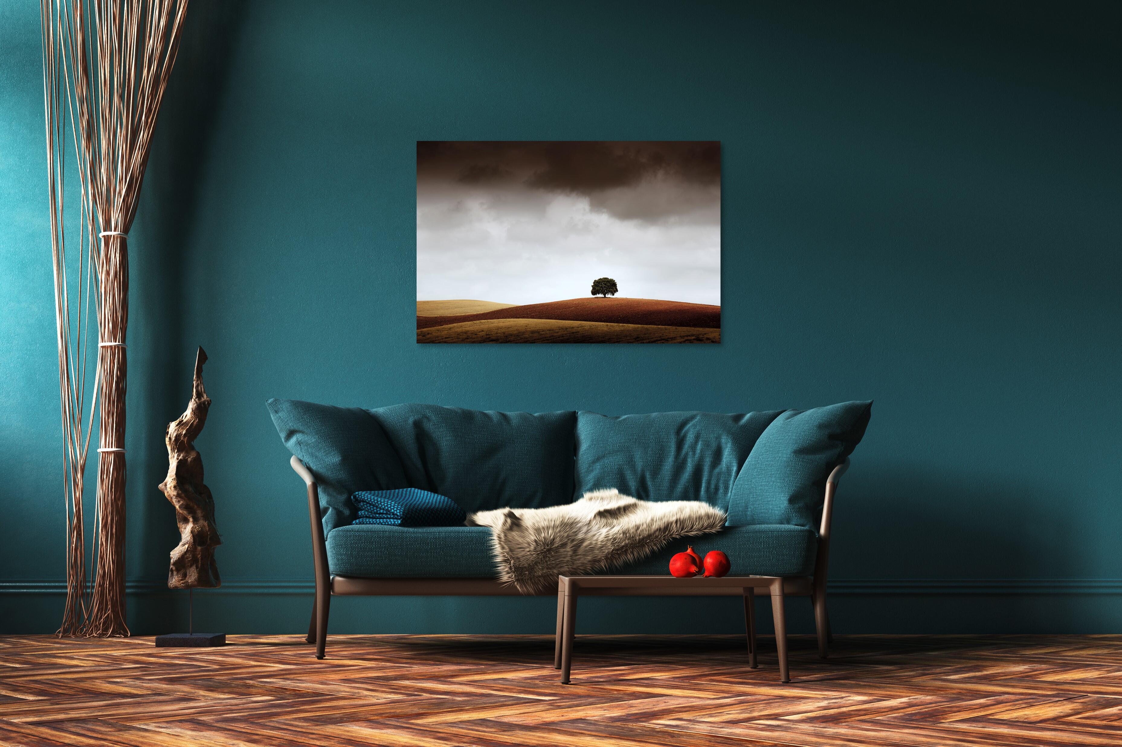 Verre imprimé tole 45x65 nature minimaliste, multicouleur CEANOTHE l.65 ...