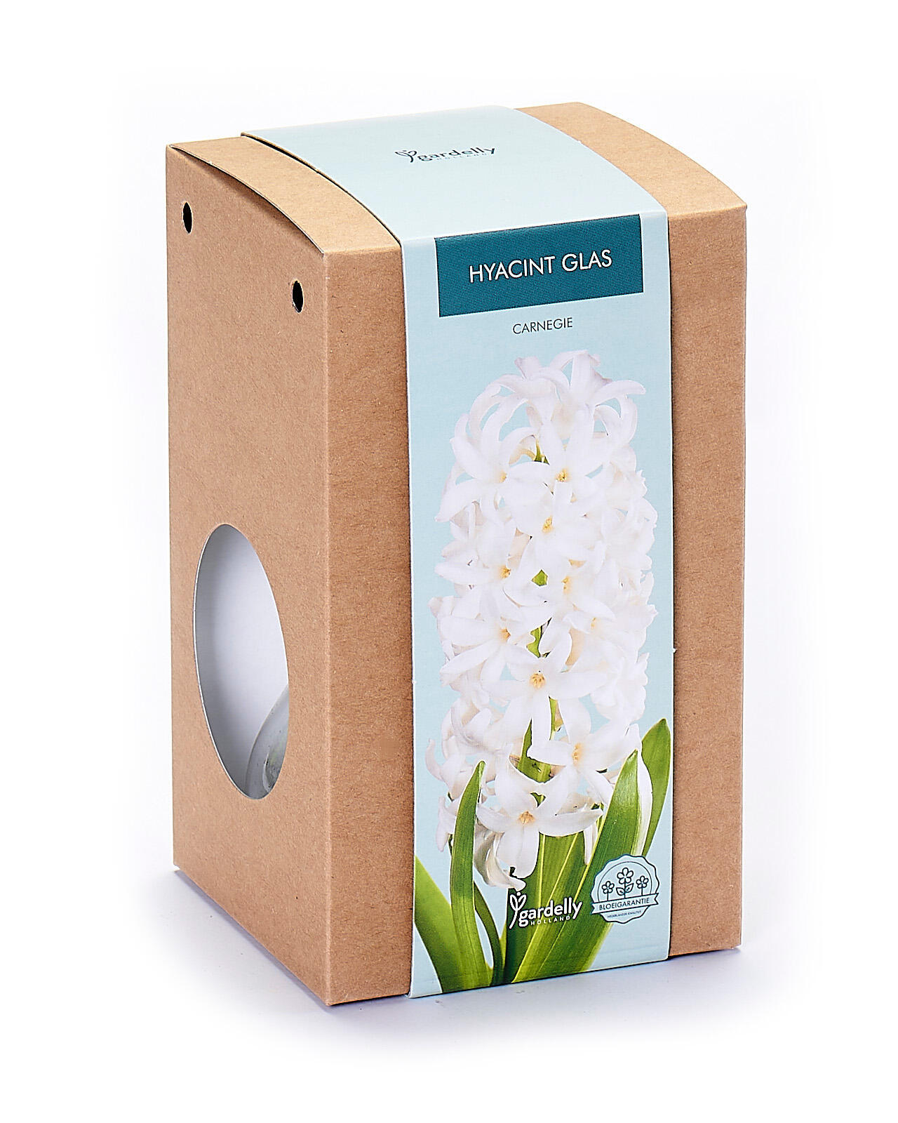 Bulbe florale bulbe à fleur | Leroy Merlin