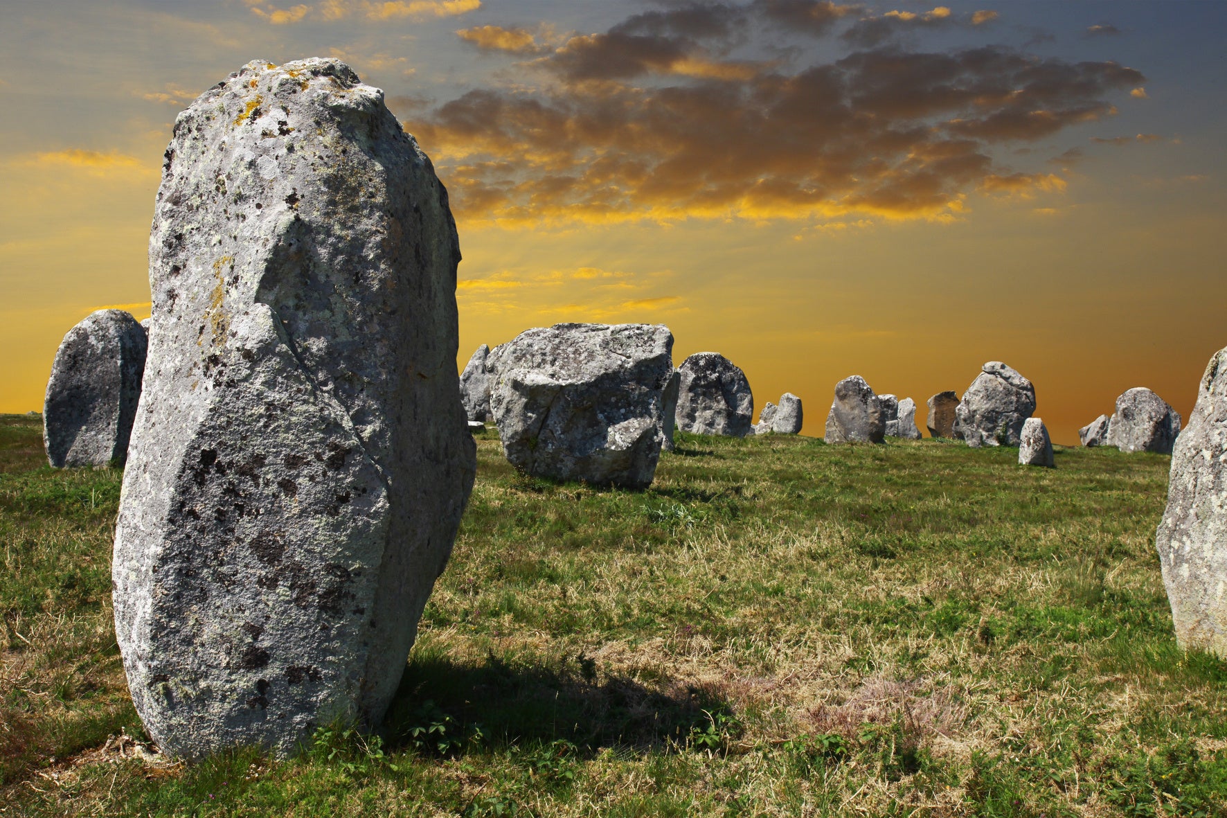 Plexiglass imprimé Regart 65X97 champs menhirs, multicouleur CEANOTHE l ...