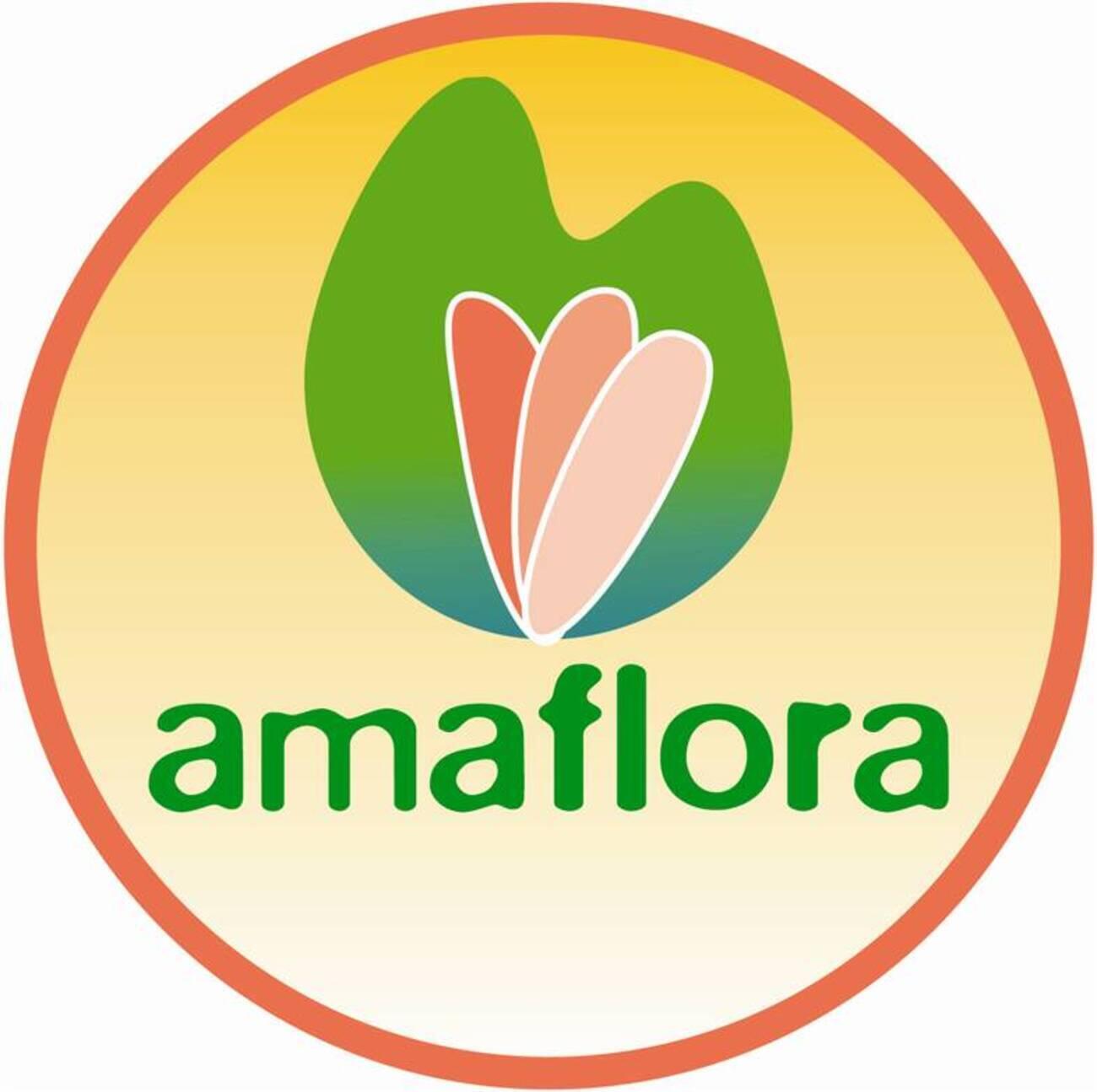 AMAFLORA | Leroy Merlin