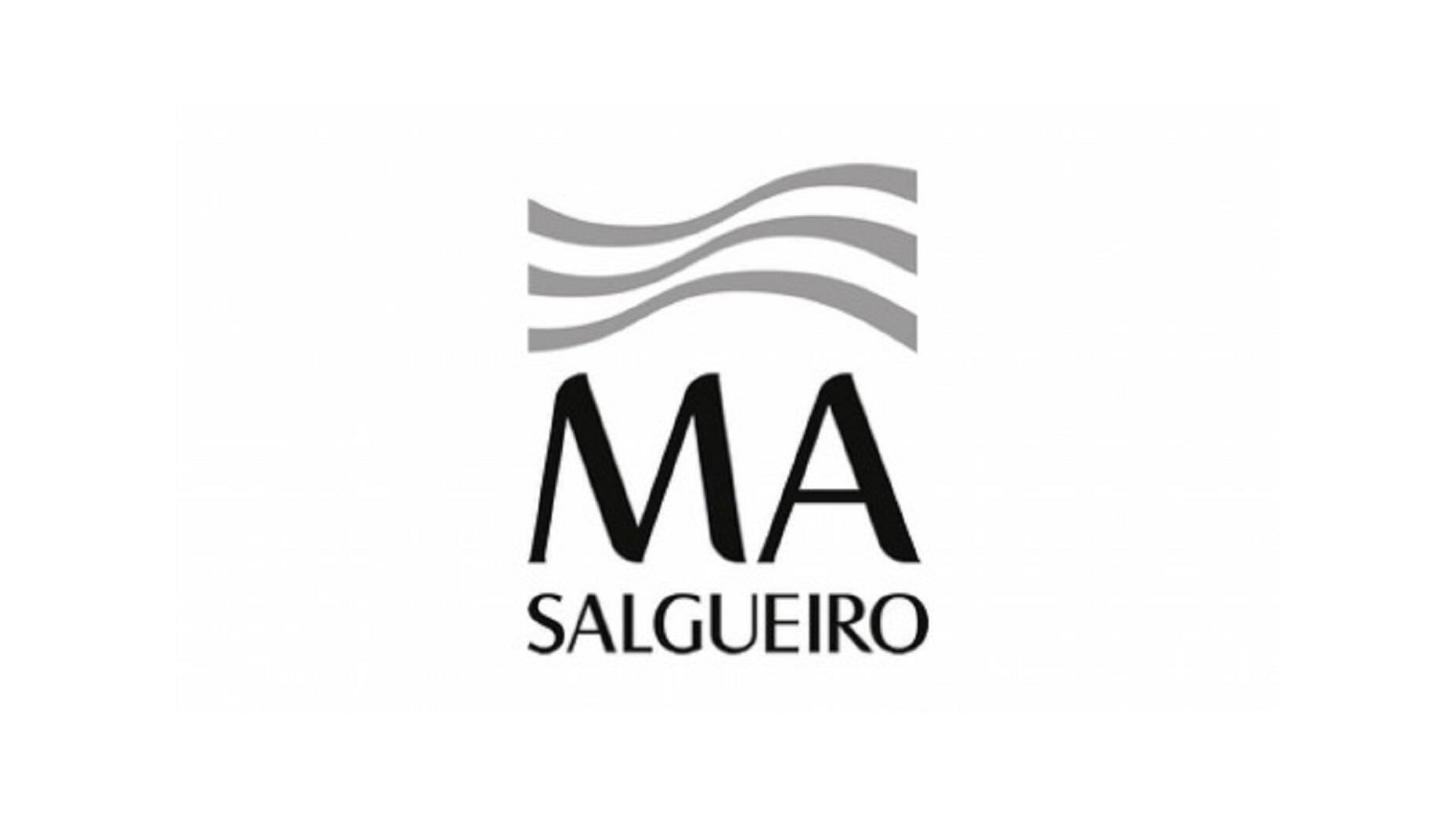 MA SALGUEIRO | Leroy Merlin