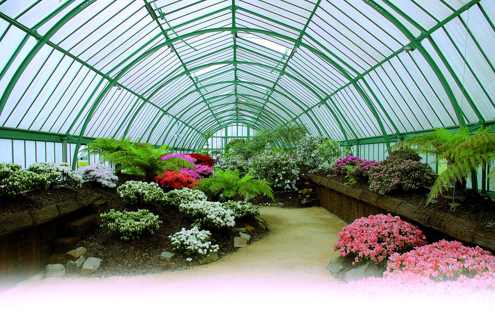 Film pour serre longue duree 8Mx60M | Leroy Merlin