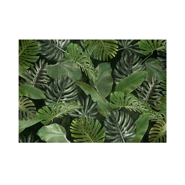 Mural Tropical egzotyczne liście 400 x 280 cm struktura Art - Leroy Merlin Mural Tropical egzotyczne liście 400 x 280 cm struktura Art - Leroy Merlin