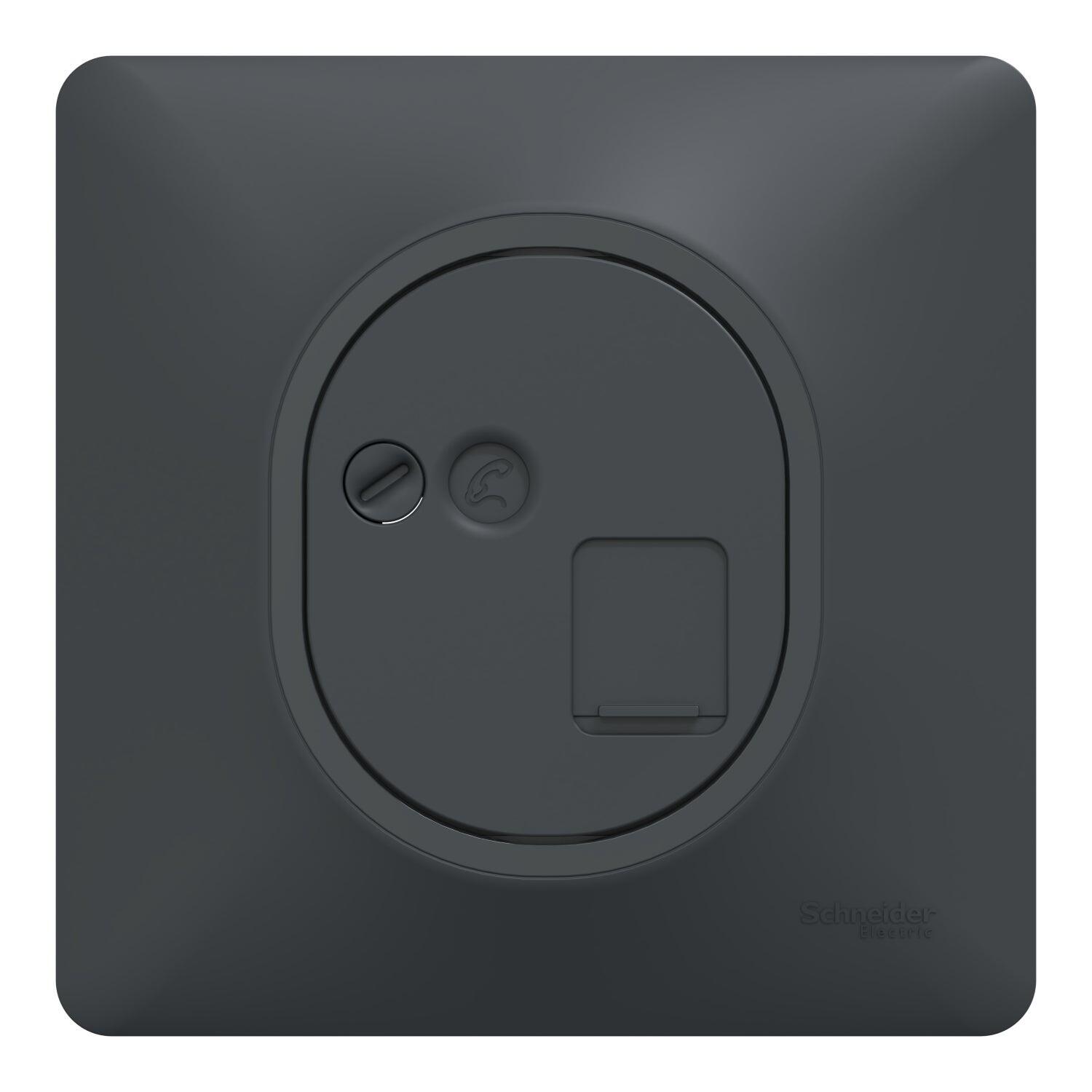Prise rj45 complet Ovalis, SCHNEIDER ELECTRIC, gris anthracite | Leroy ...