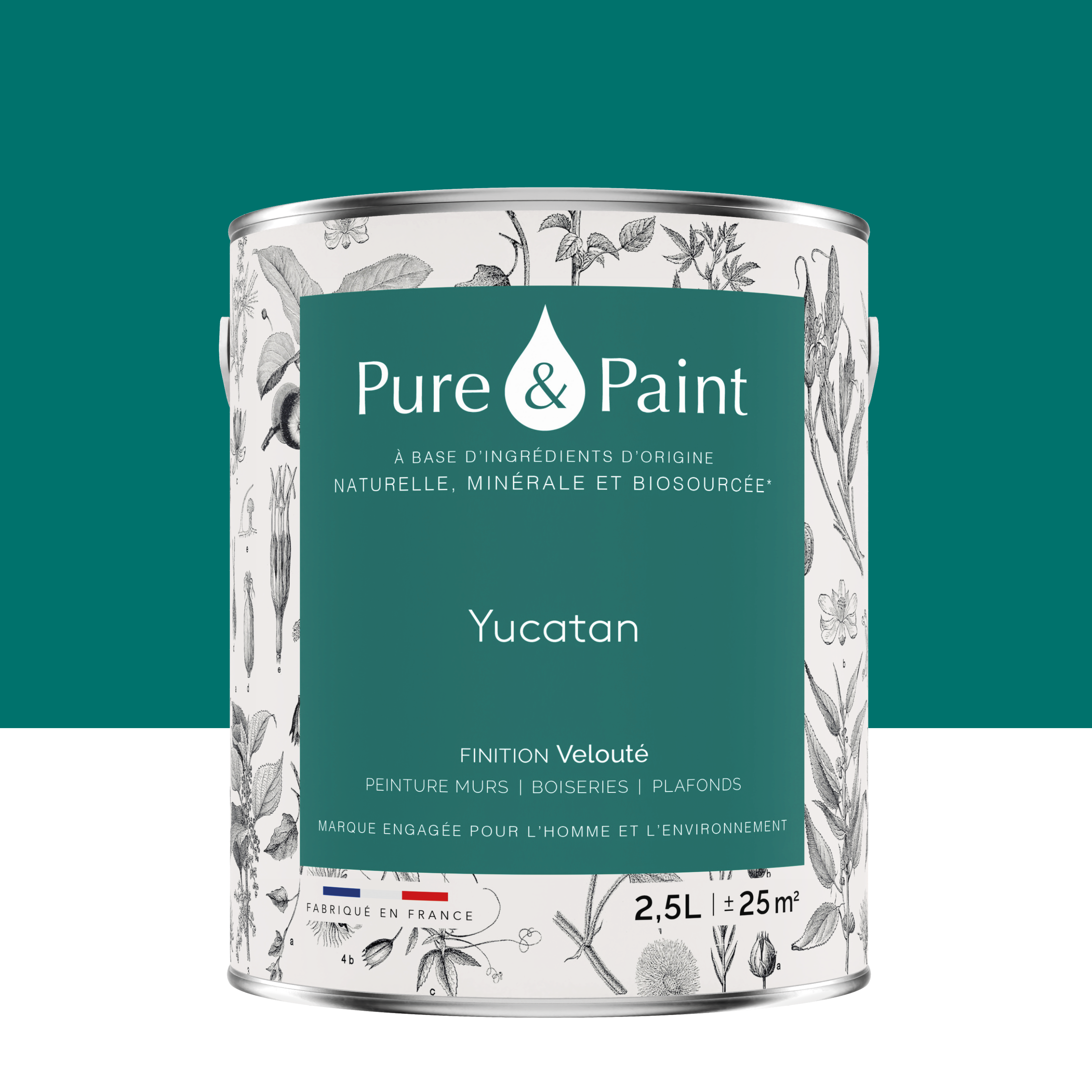 Peinture mur, boiserie yucatan velours PURE & PAINT , 2.5L | Leroy Merlin