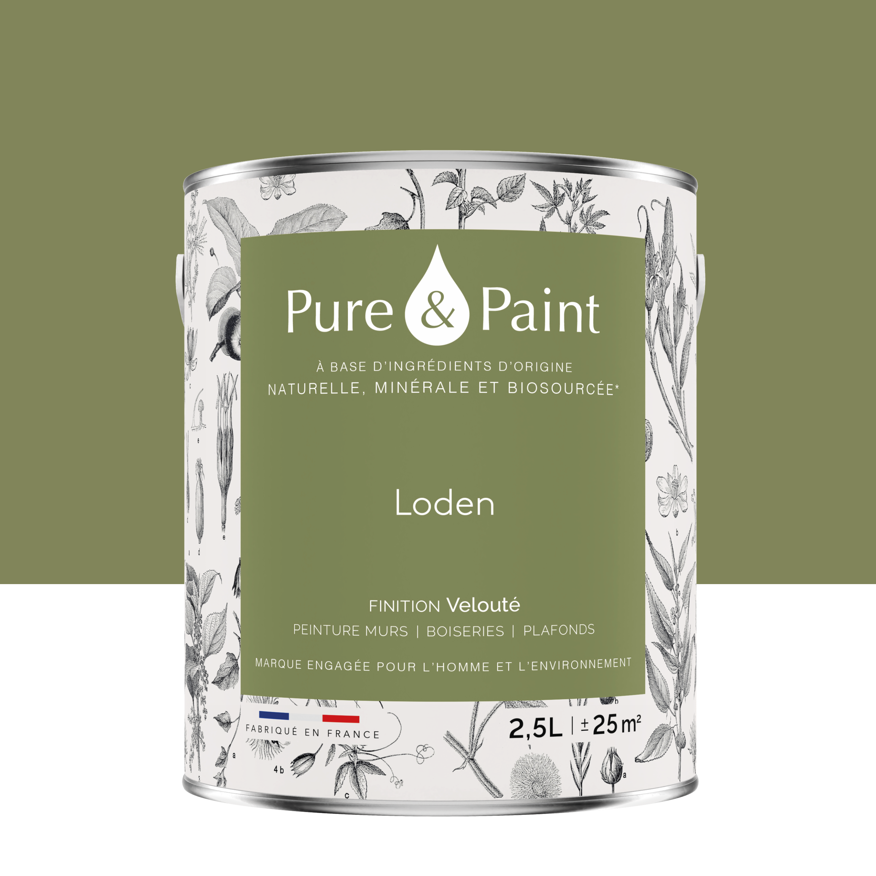 Peinture mur, boiserie loden velours PURE & PAINT , 2.5L | Leroy Merlin