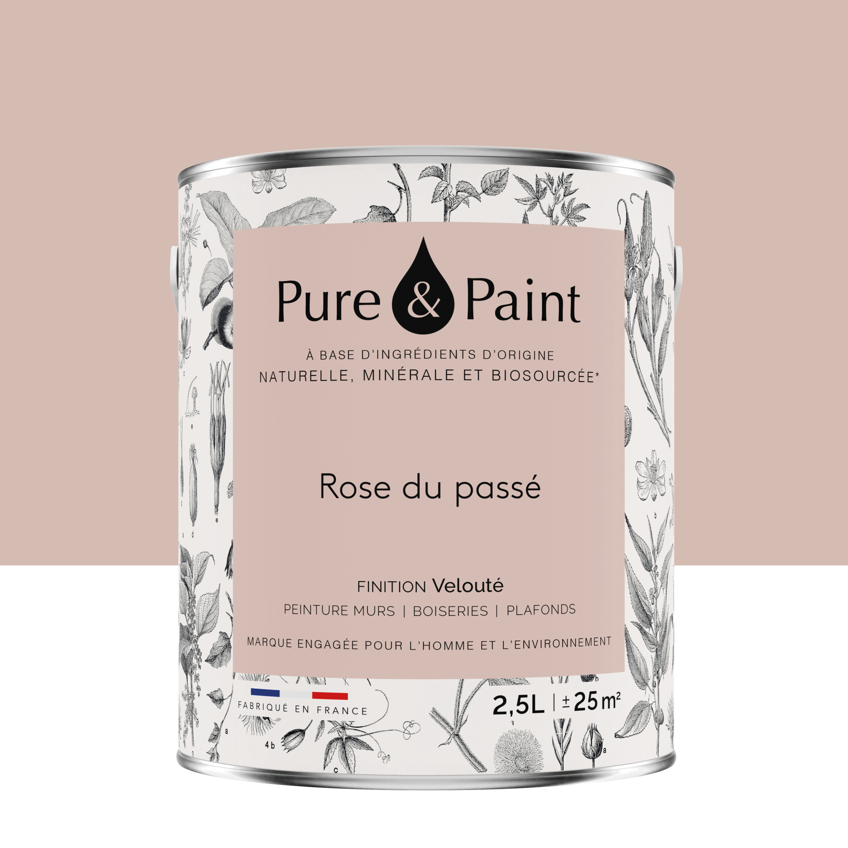 Peinture mur, boiserie rose du passé velours PURE & PAINT , 2.5L ...