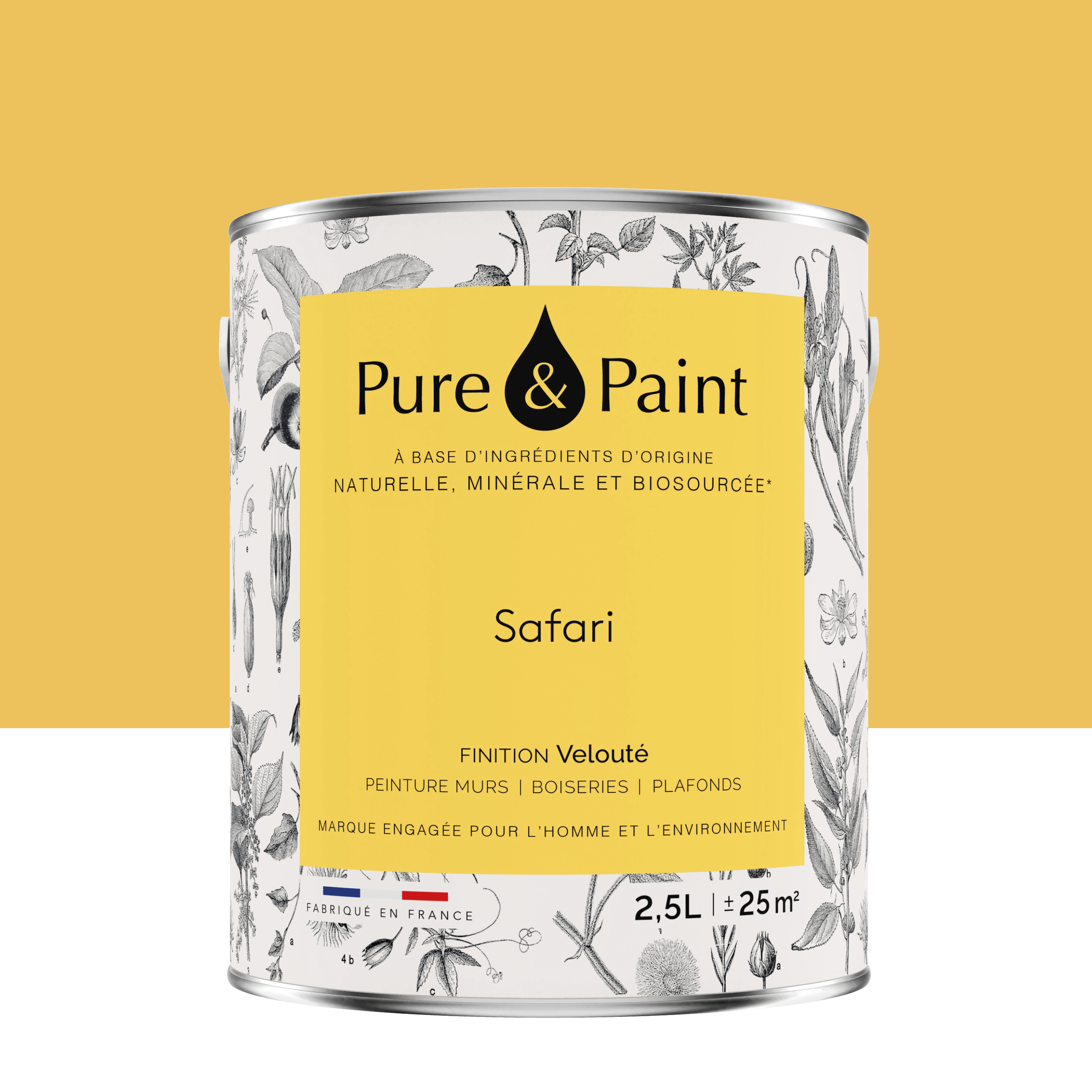 Peinture mur, boiserie safari velours PURE & PAINT , 2.5L | Leroy Merlin
