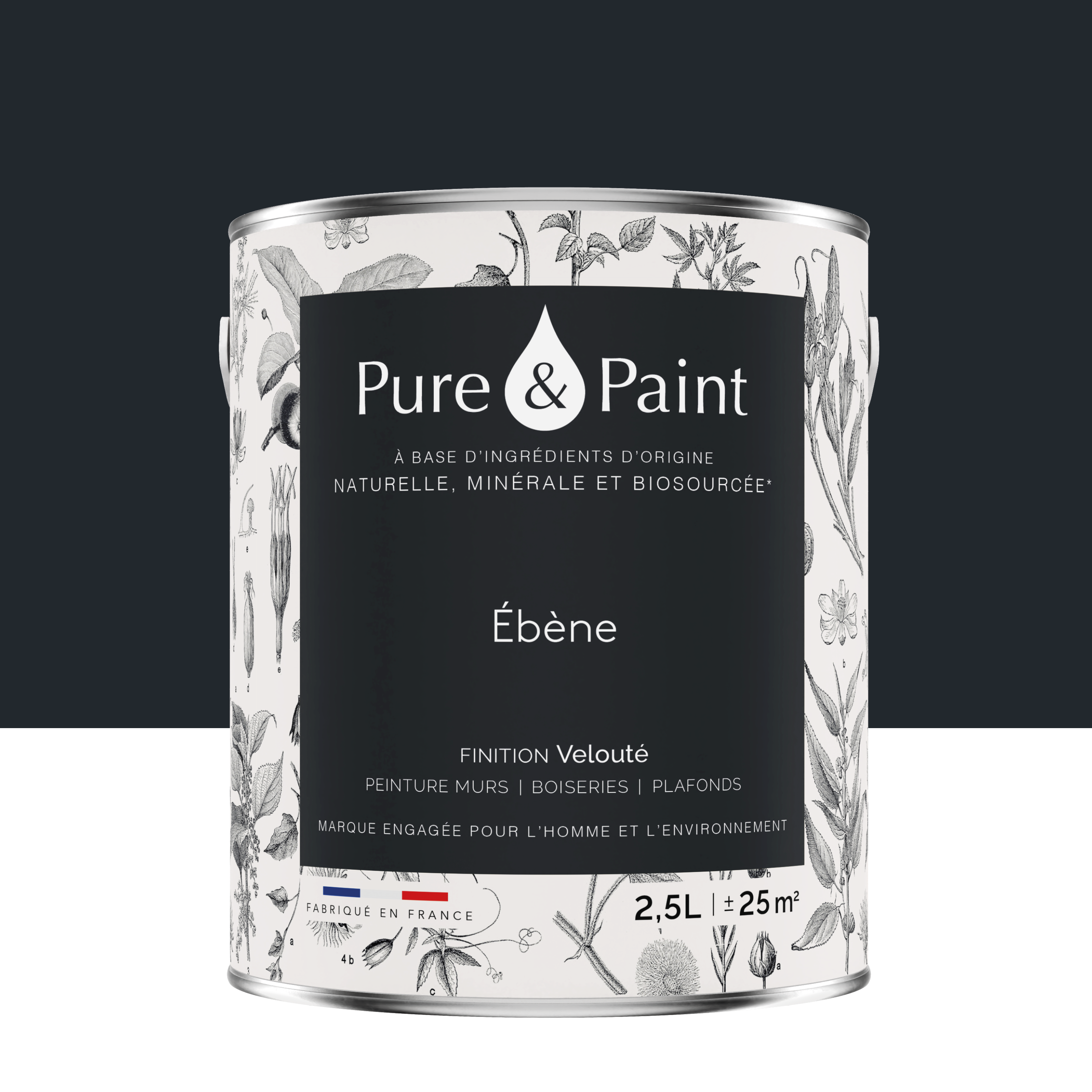 Peinture mur, boiserie ébène velours PURE & PAINT , 2.5L | Leroy Merlin