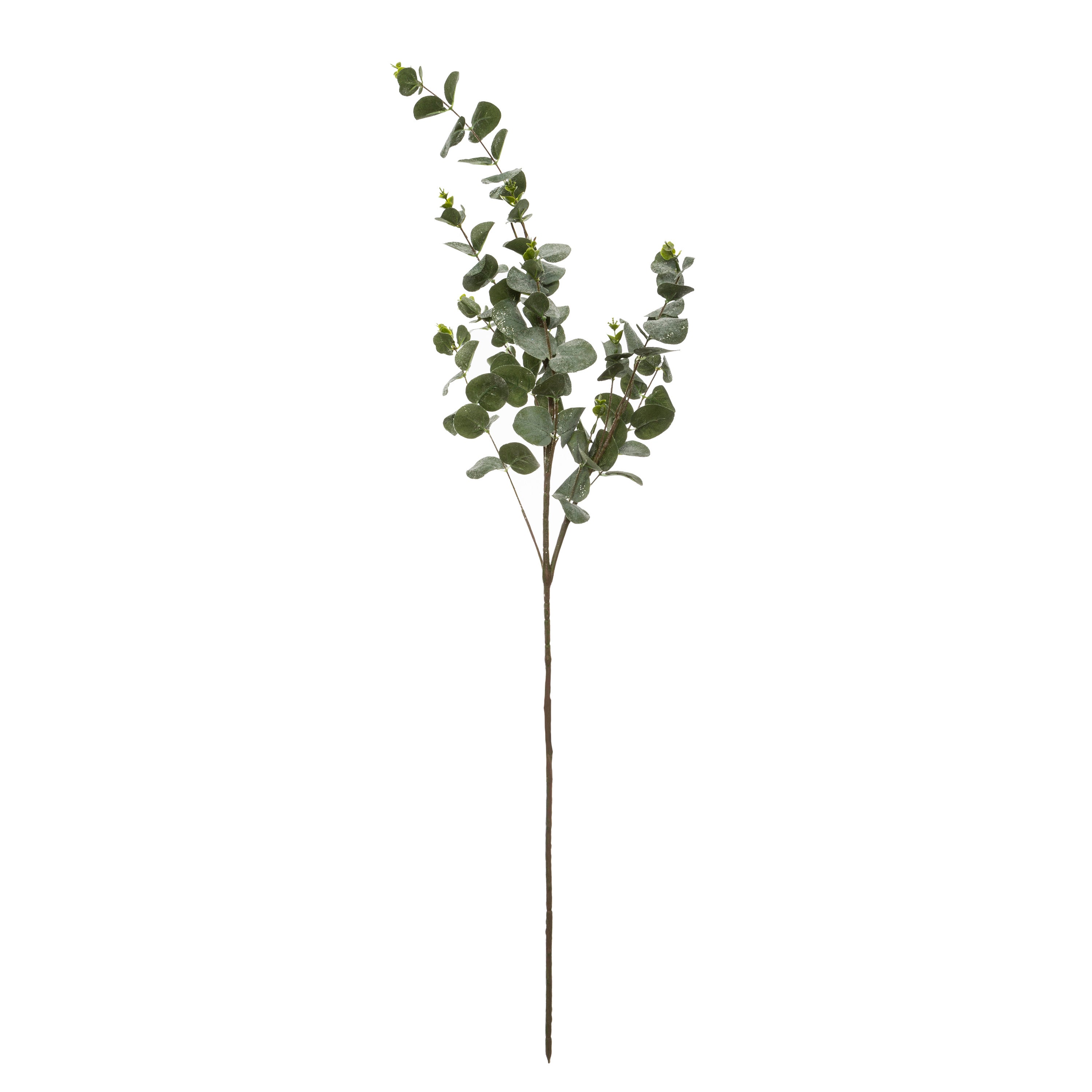 Objet décoratif Eucalyptus floqué, vert H.98 x l.20 cm | Leroy Merlin