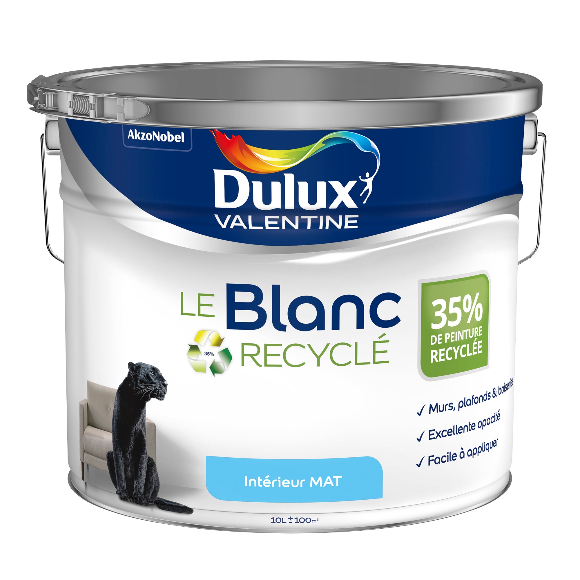 Peinture mur blanc recyclé mat DULUX VALENTINE 10l | Leroy Merlin