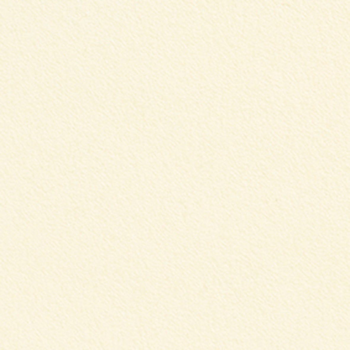 Contrecollé Sm papyrus white 15/10°, blanc | Leroy Merlin