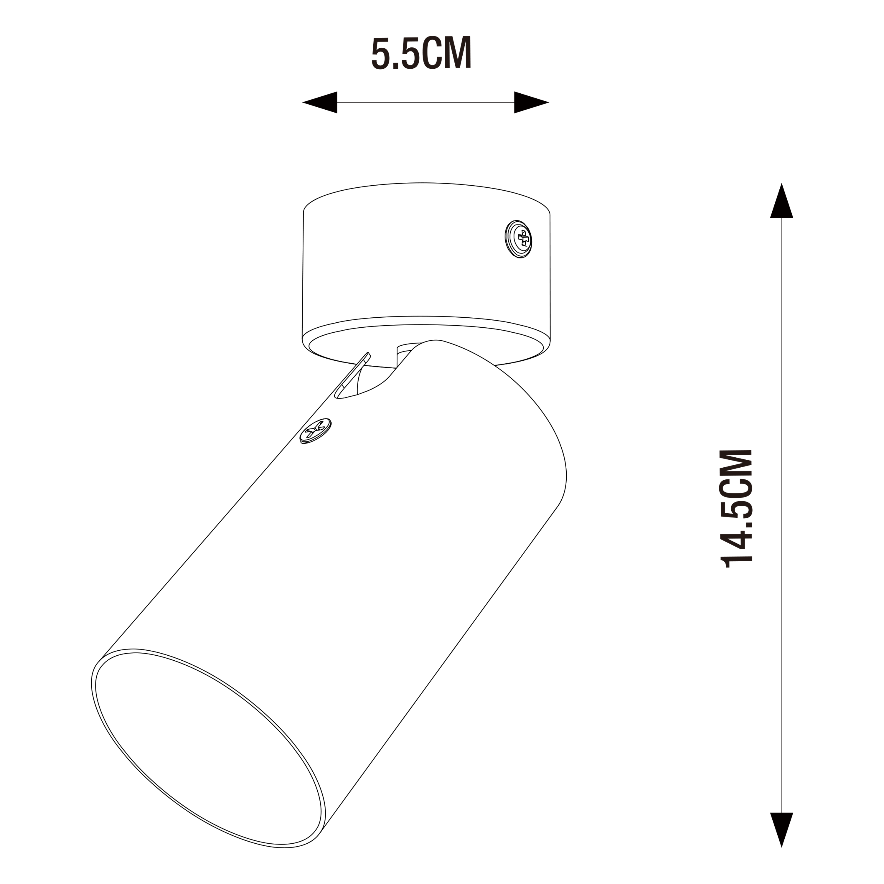 Spot à fixer, orientable GU10 D.5.5 cm, Ubla blanc INSPIRE | Leroy Merlin