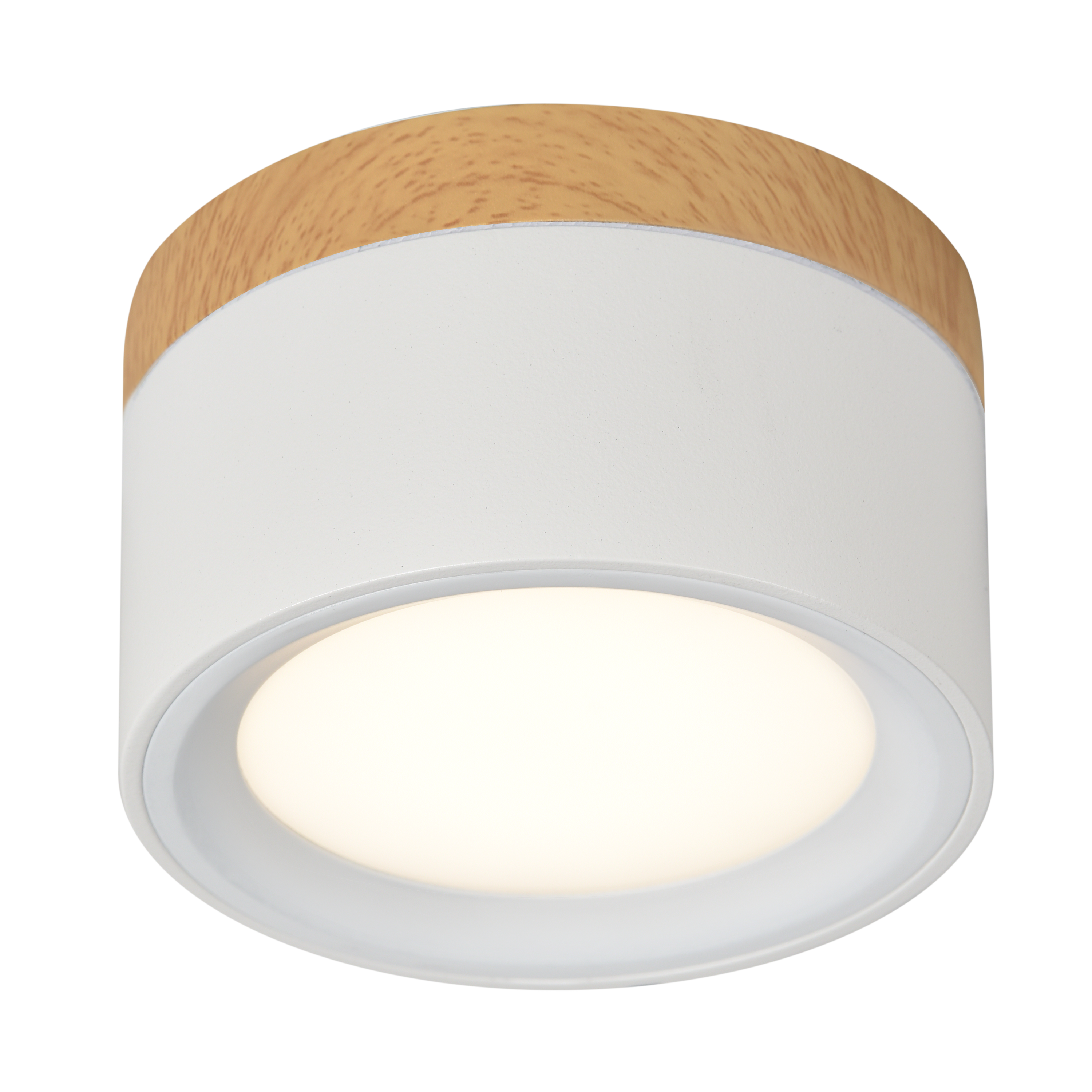 Spot à fixer module led, nature métal blanc bois INSPIRE Tori D.10 cm ...