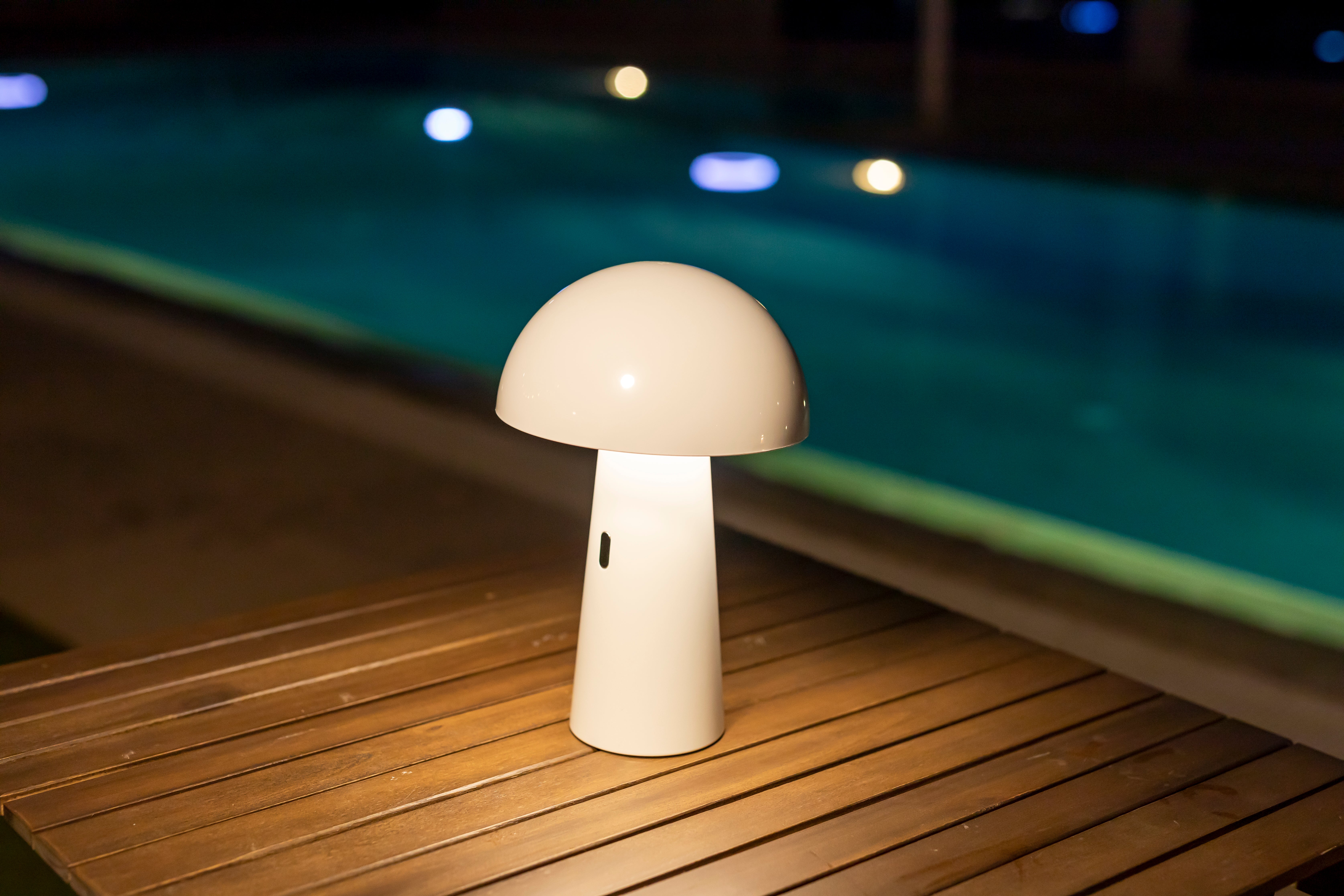 Lampe de table rechargeable Shitake 200 Lumen blanc NEWGARDEN | Leroy ...