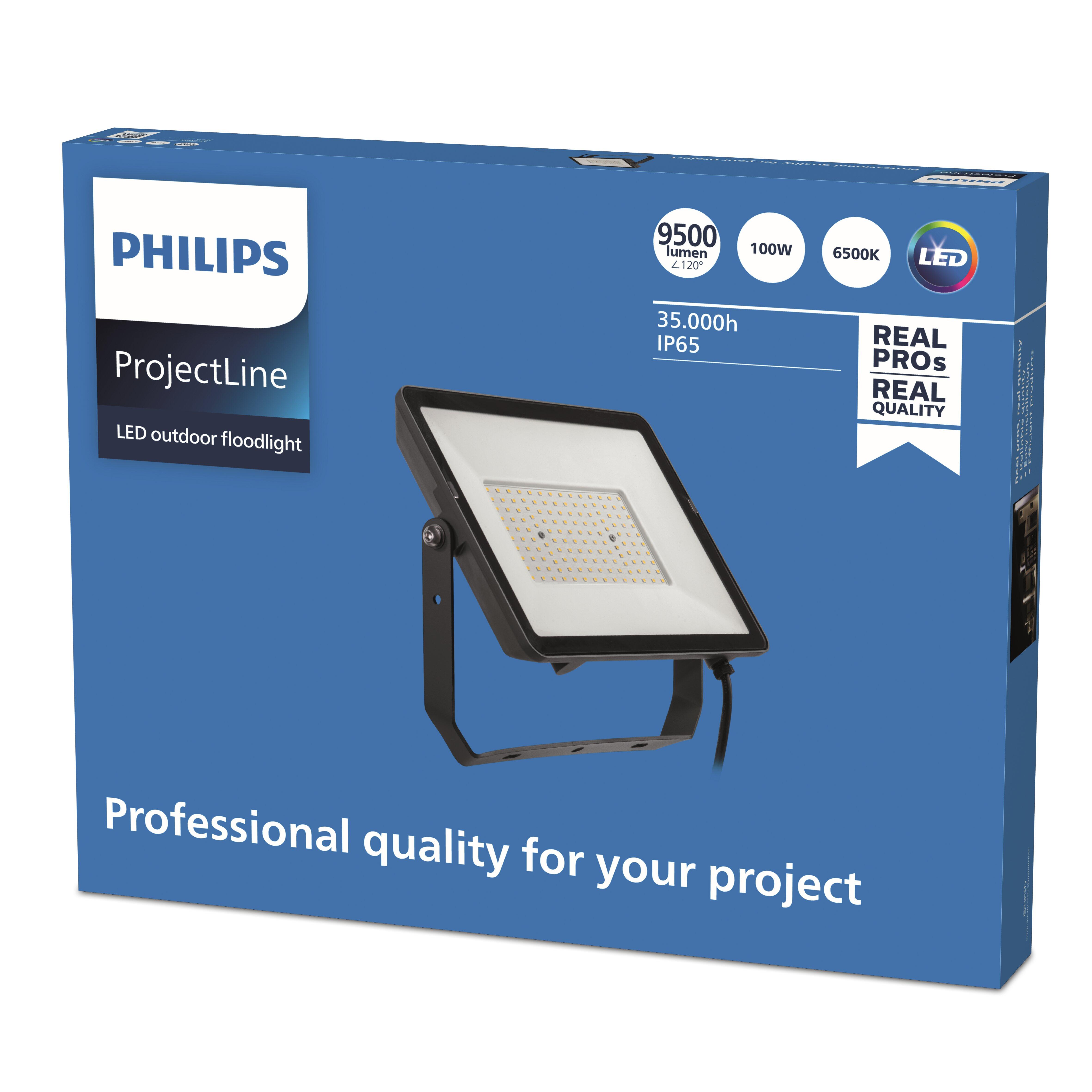 Proyector LED PHILIPS de 100W blanco frío | Leroy Merlin